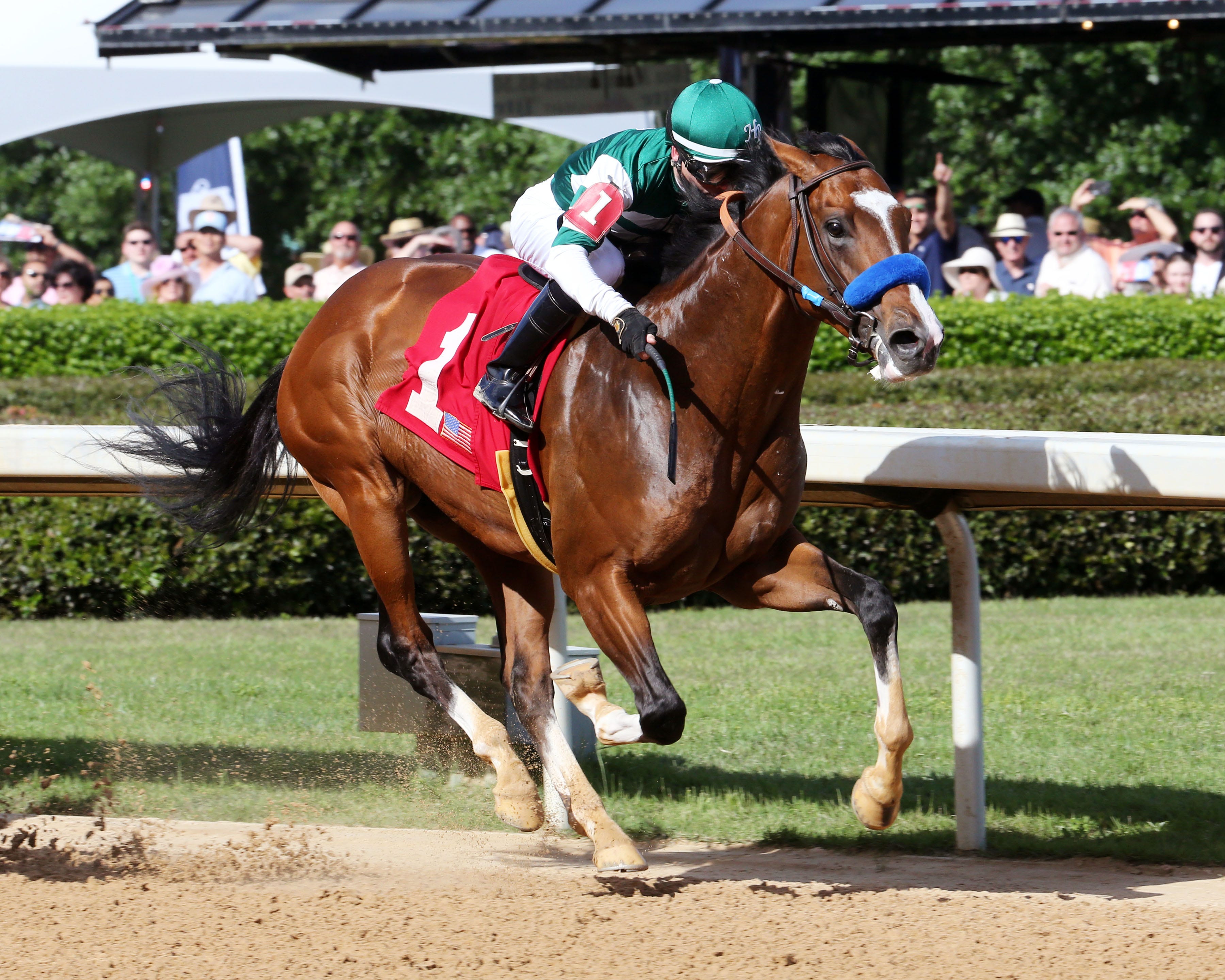 Cistron will try turf sprint for first time in Desert Code