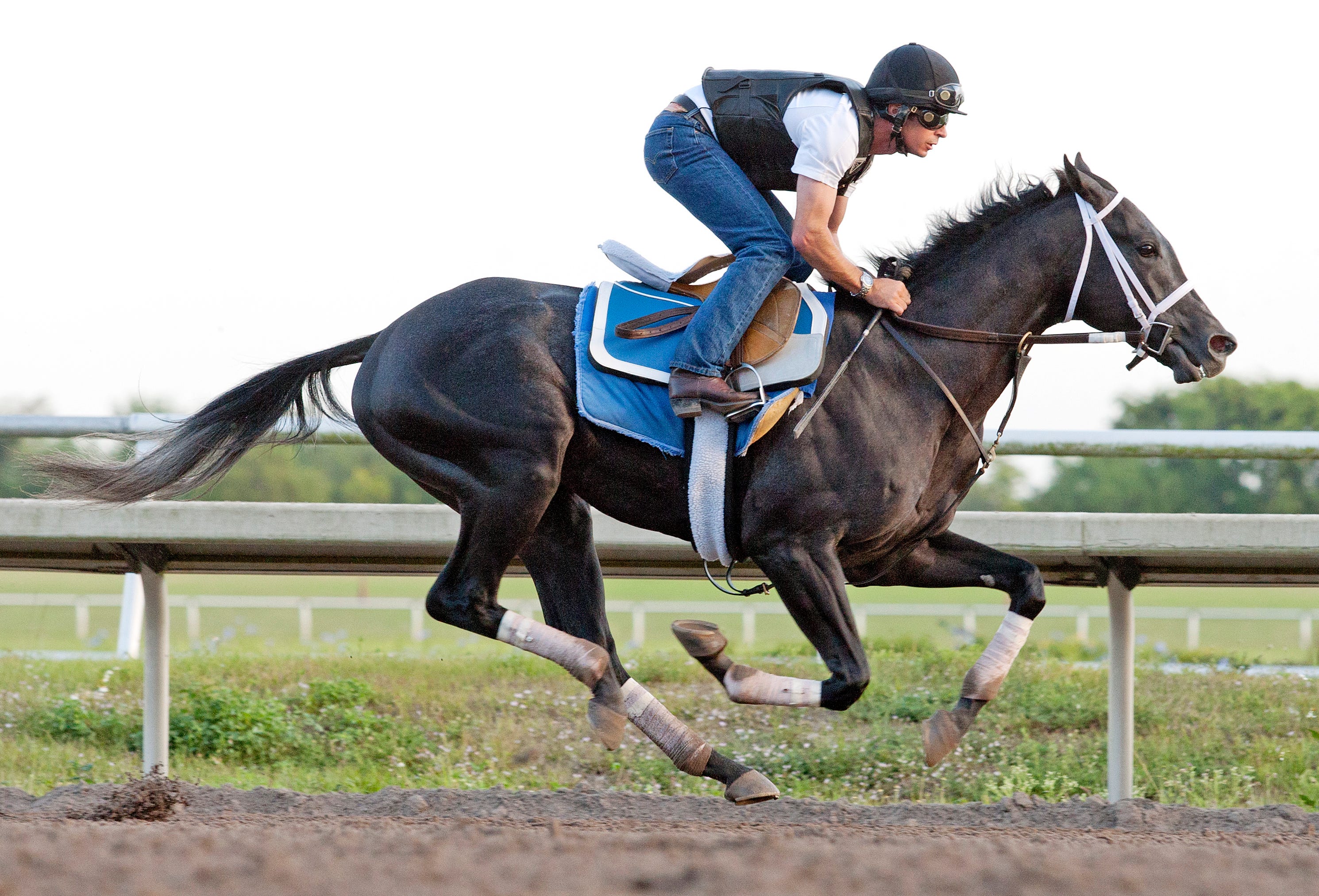 Gulfstream Park: Cairo Prince has easy Florida Derby drill