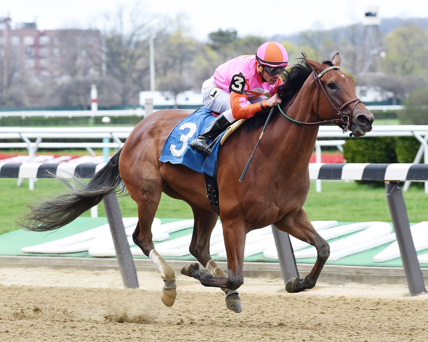 Trainer Ralph Nicks to retire