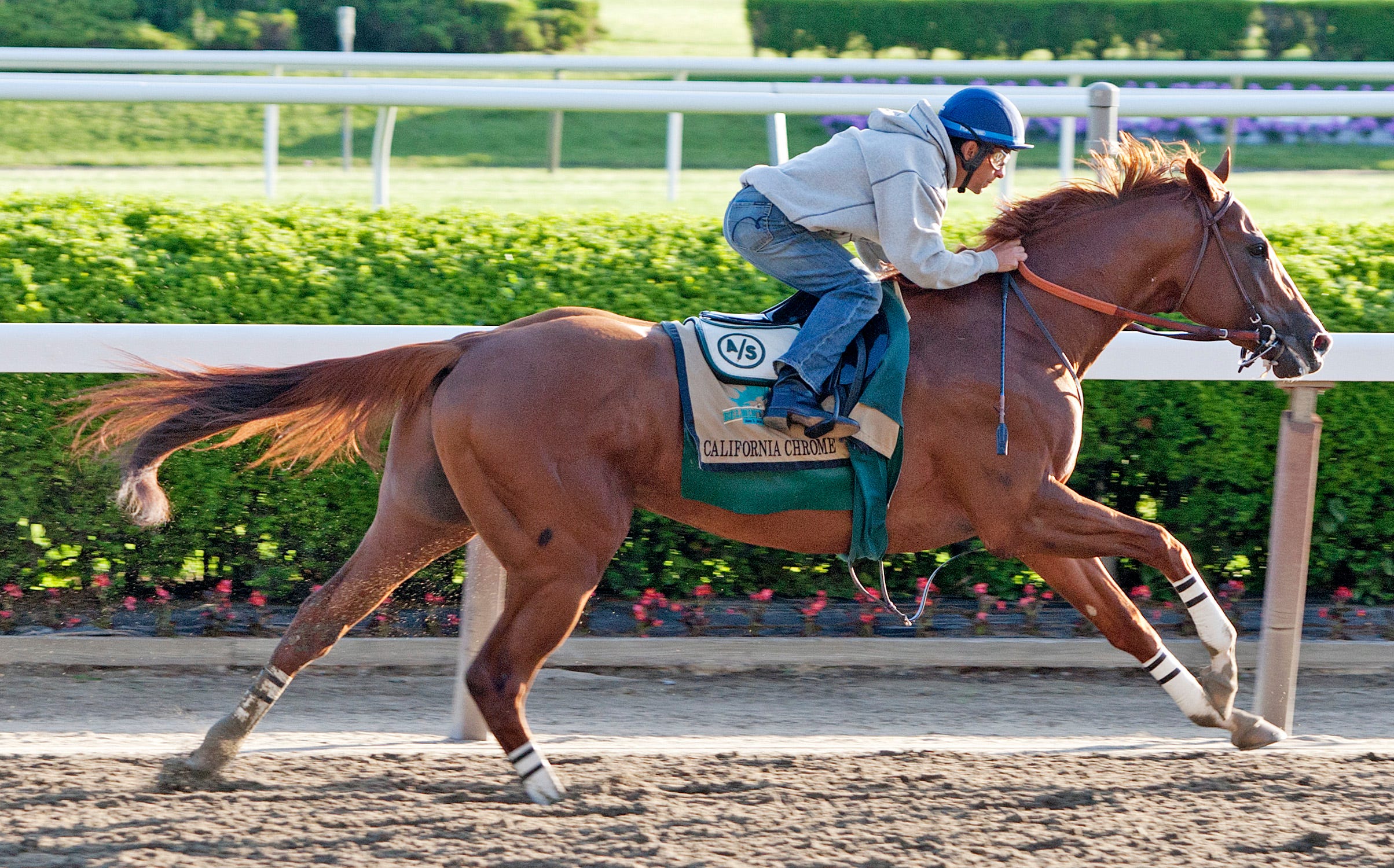 Beyer: California Chrome's stud value has ceiling