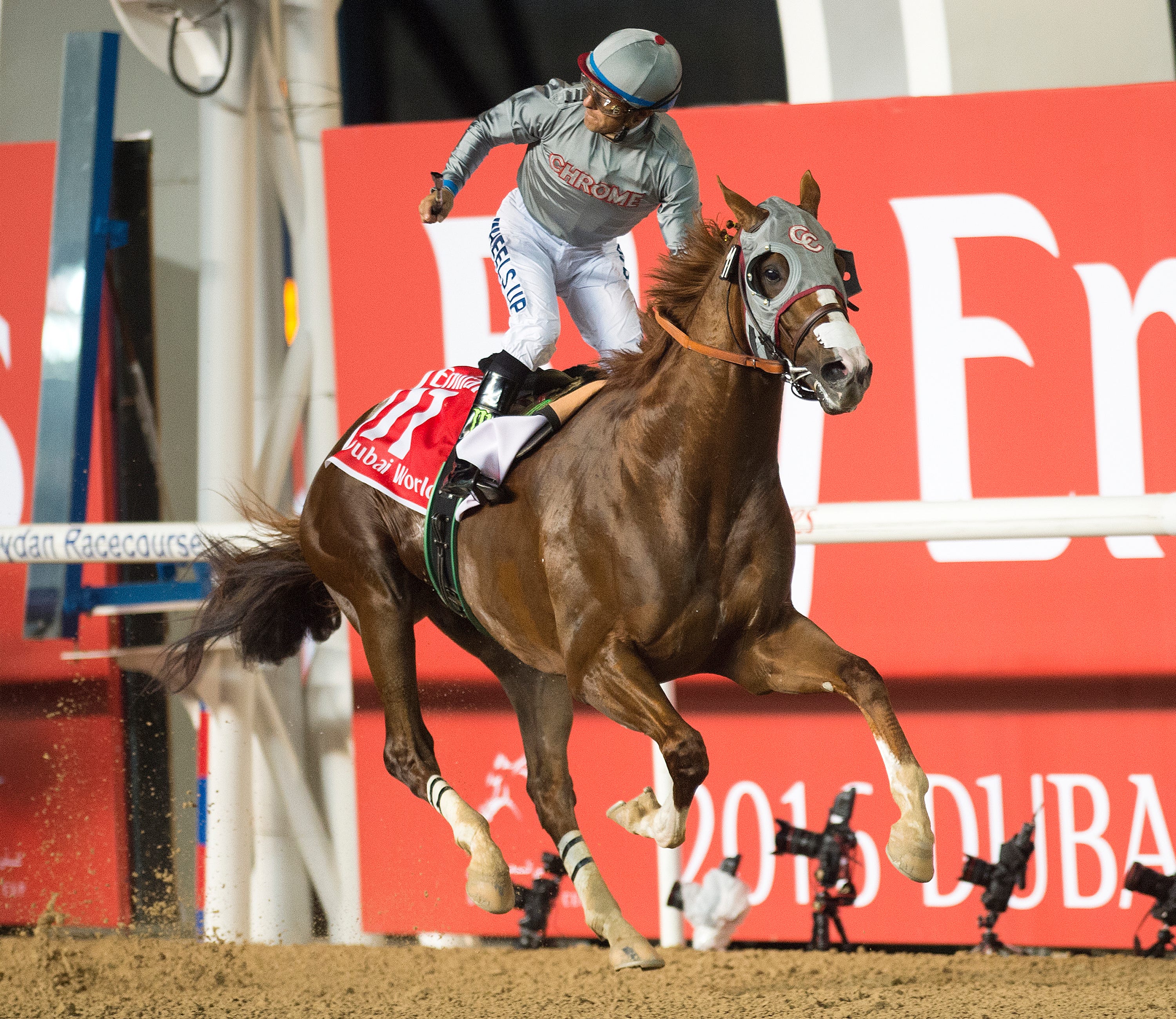 California Chrome crowned Horse of the Year for second time
