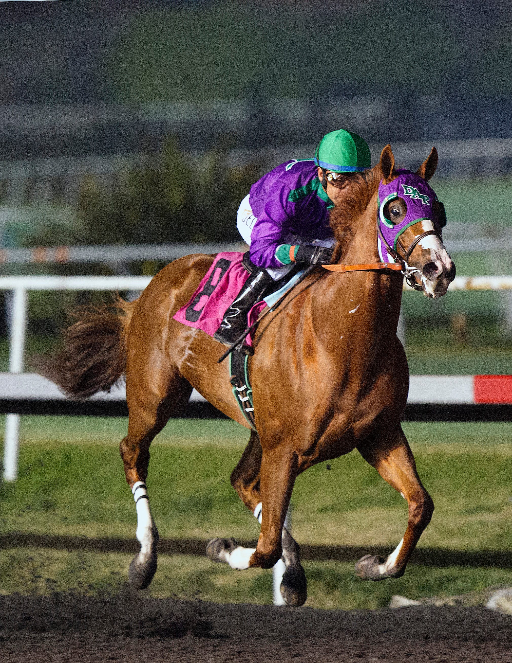 Santa Anita: California Chrome - from maiden-race loser to Kentucky ...