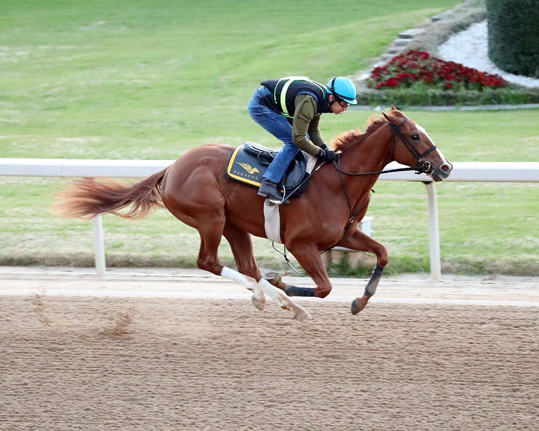 Call Me Jamal to miss Arkansas Derby due to injury