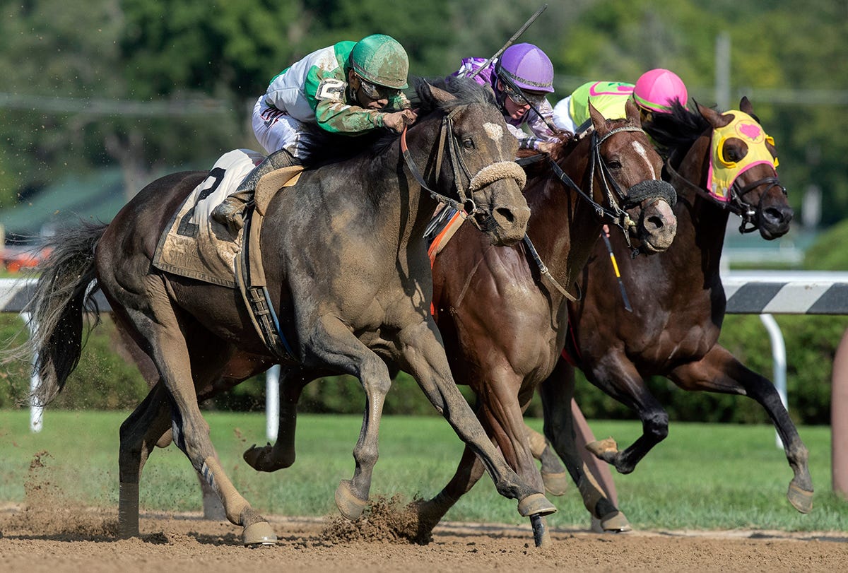 Jerkens adds to streak with Can You Diggit in Evan Shipman