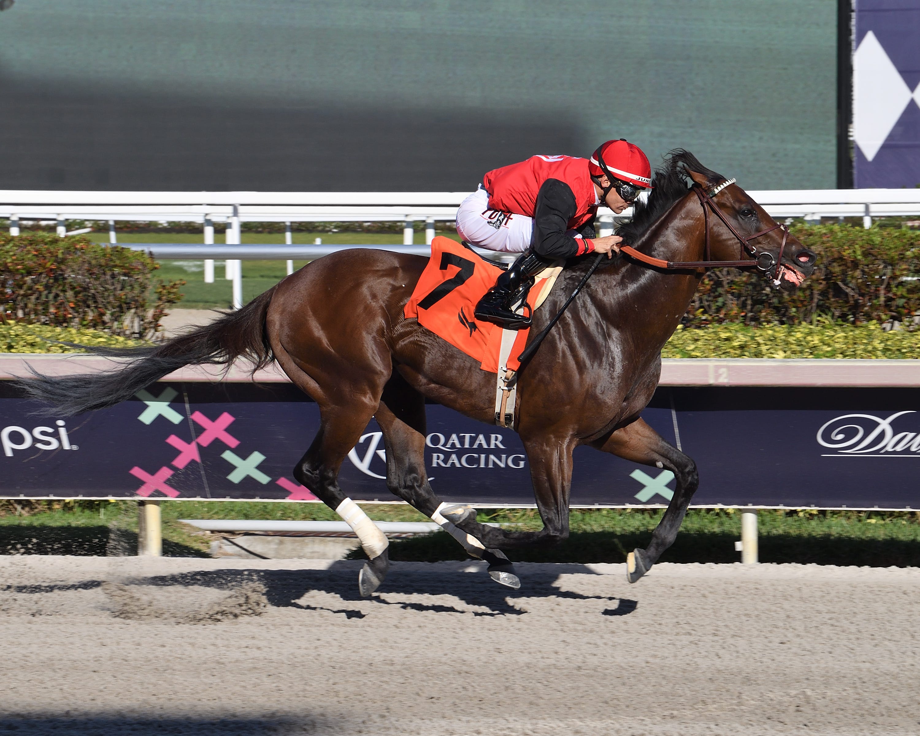 Candy Man Rocket respondió al favoritismo y ganó el Gulfstream Park ...