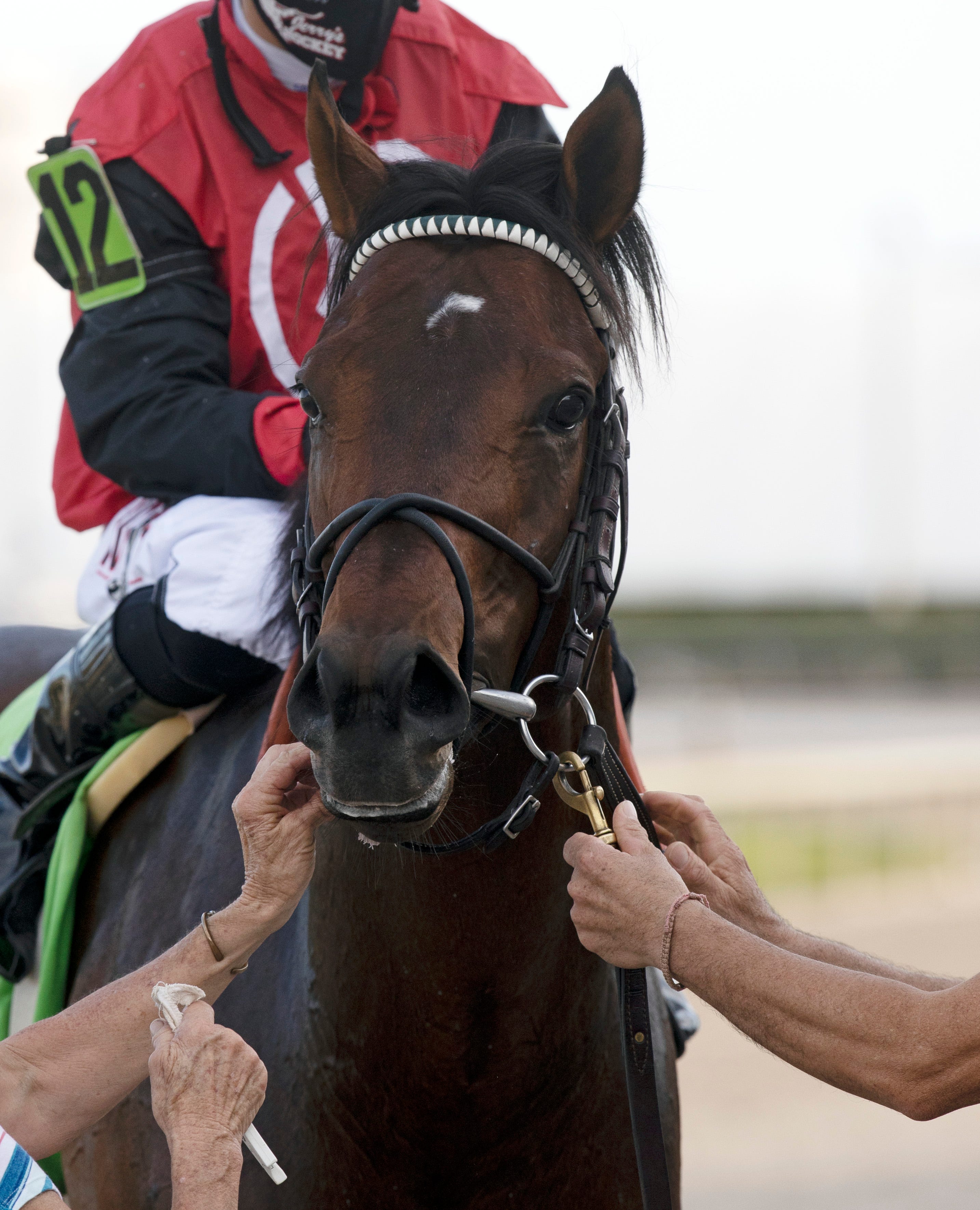 Bob Hess Jr. sticking with Florida-California circuit