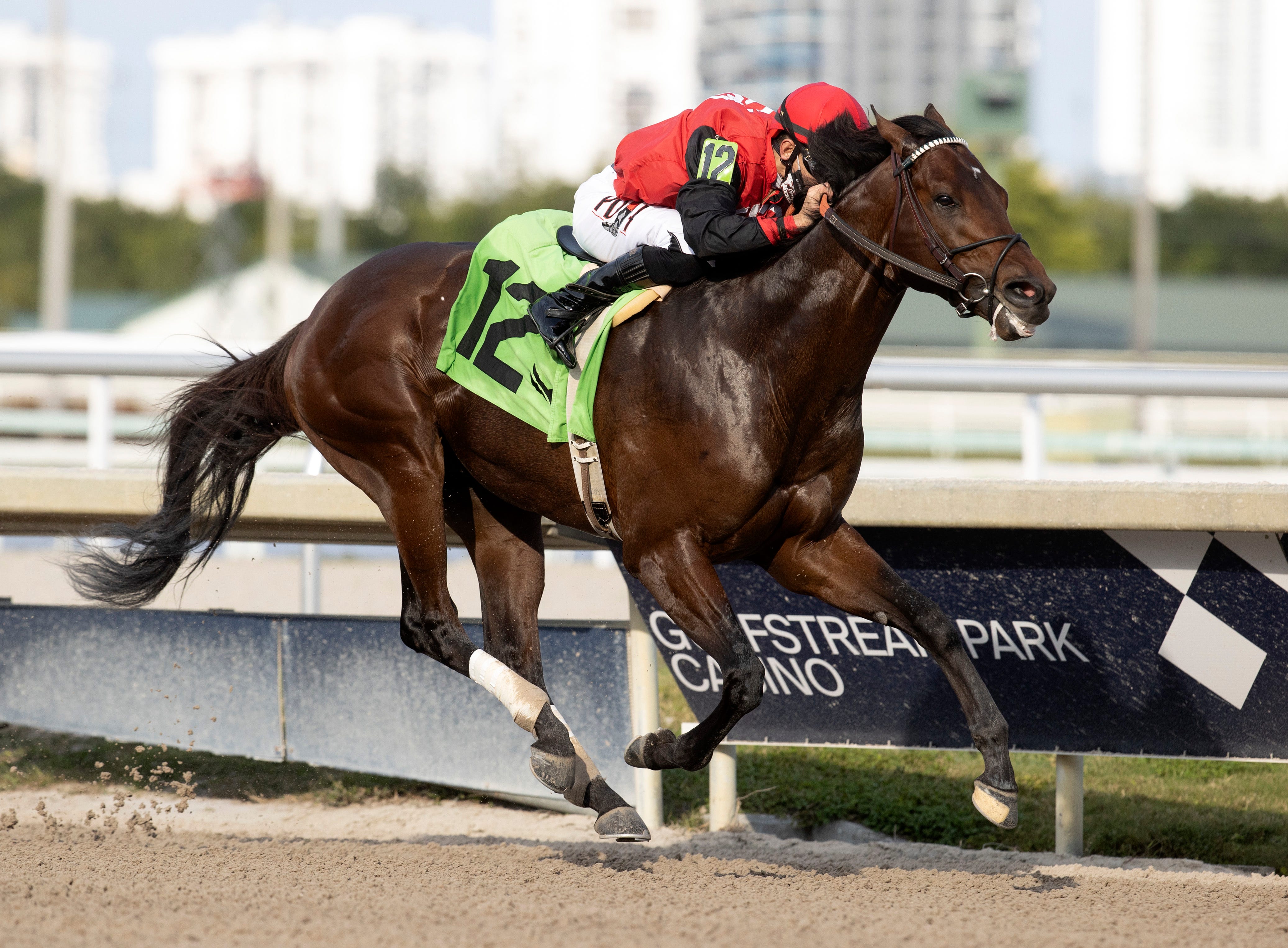 Candy Man Rocket looks to add to Mott's strong meet in Gulfstream Sprint