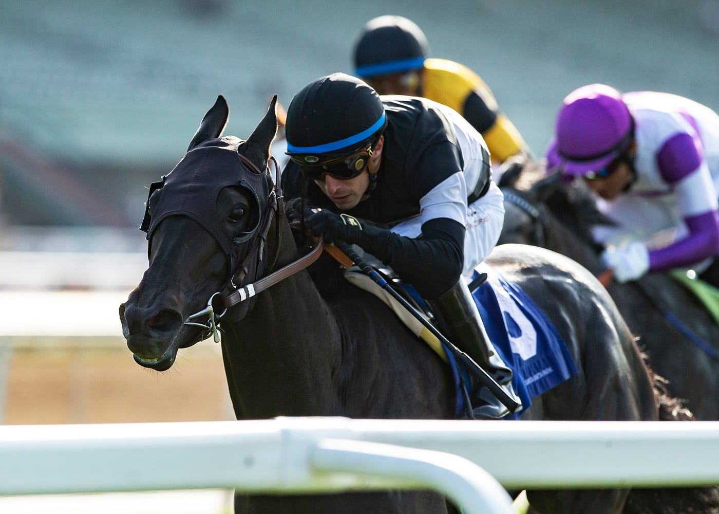 Canoodling steps up in class, distance for Gamely Stakes