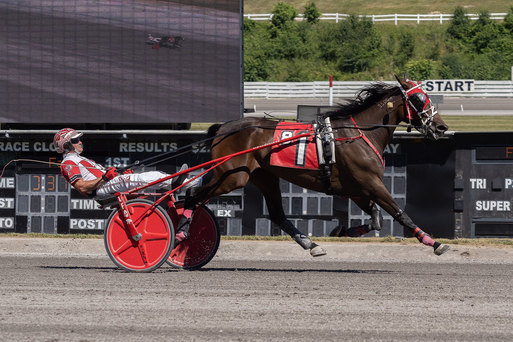 Harness: Trainer explains how a horse drops seven seconds in one start