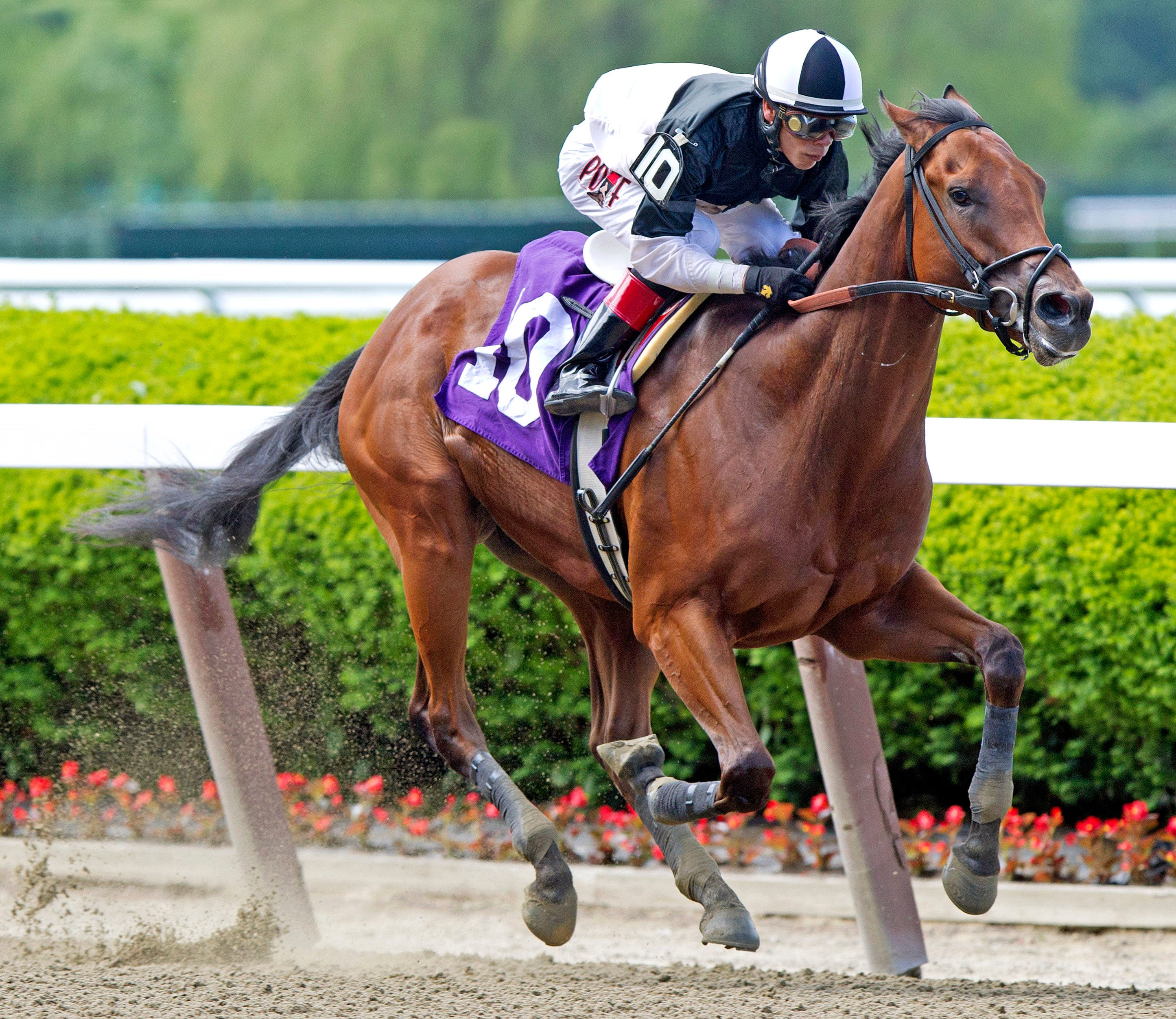 Captain Serious to try open company in Dwyer