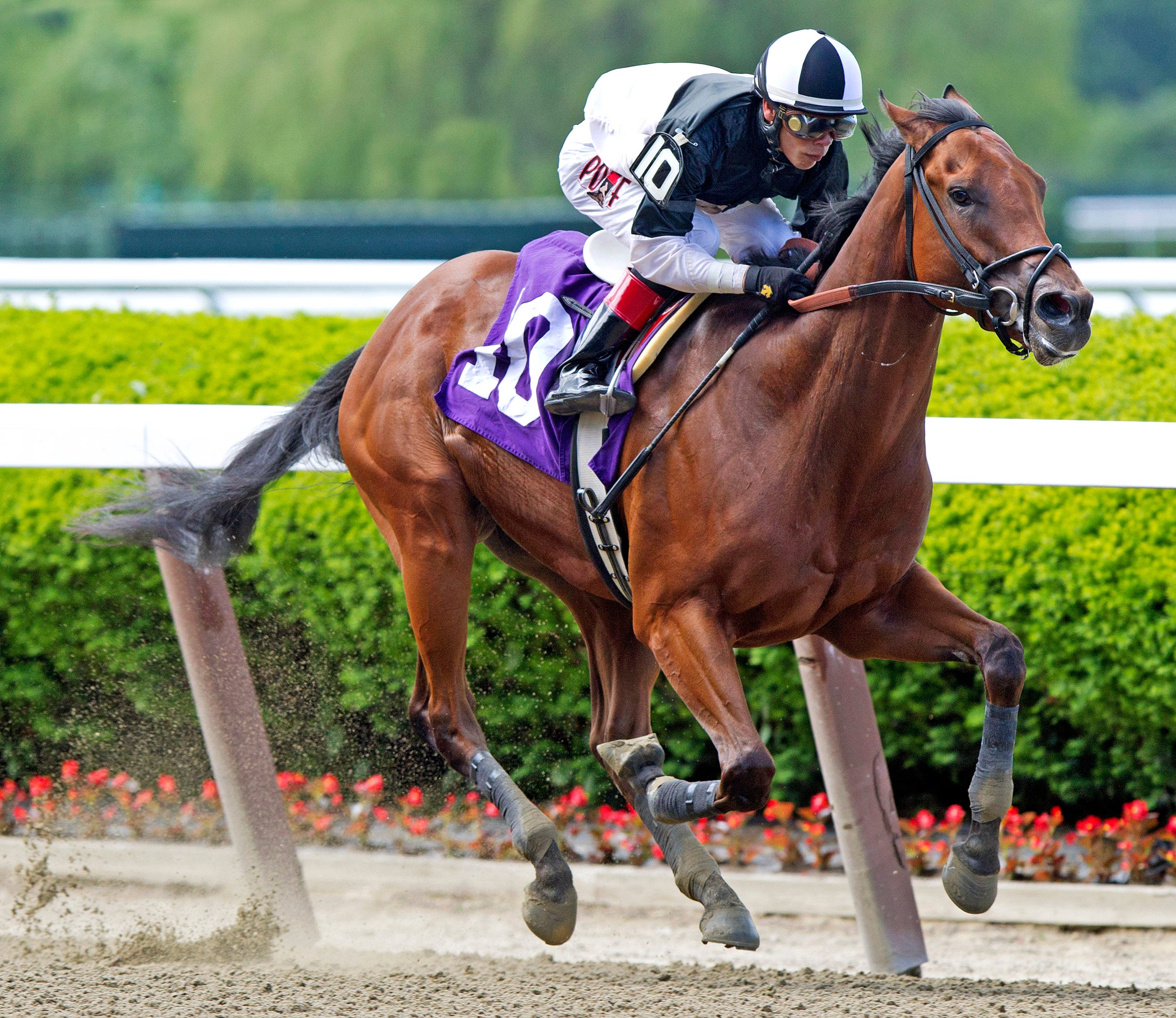 Captain Serious tries two turns in Albany