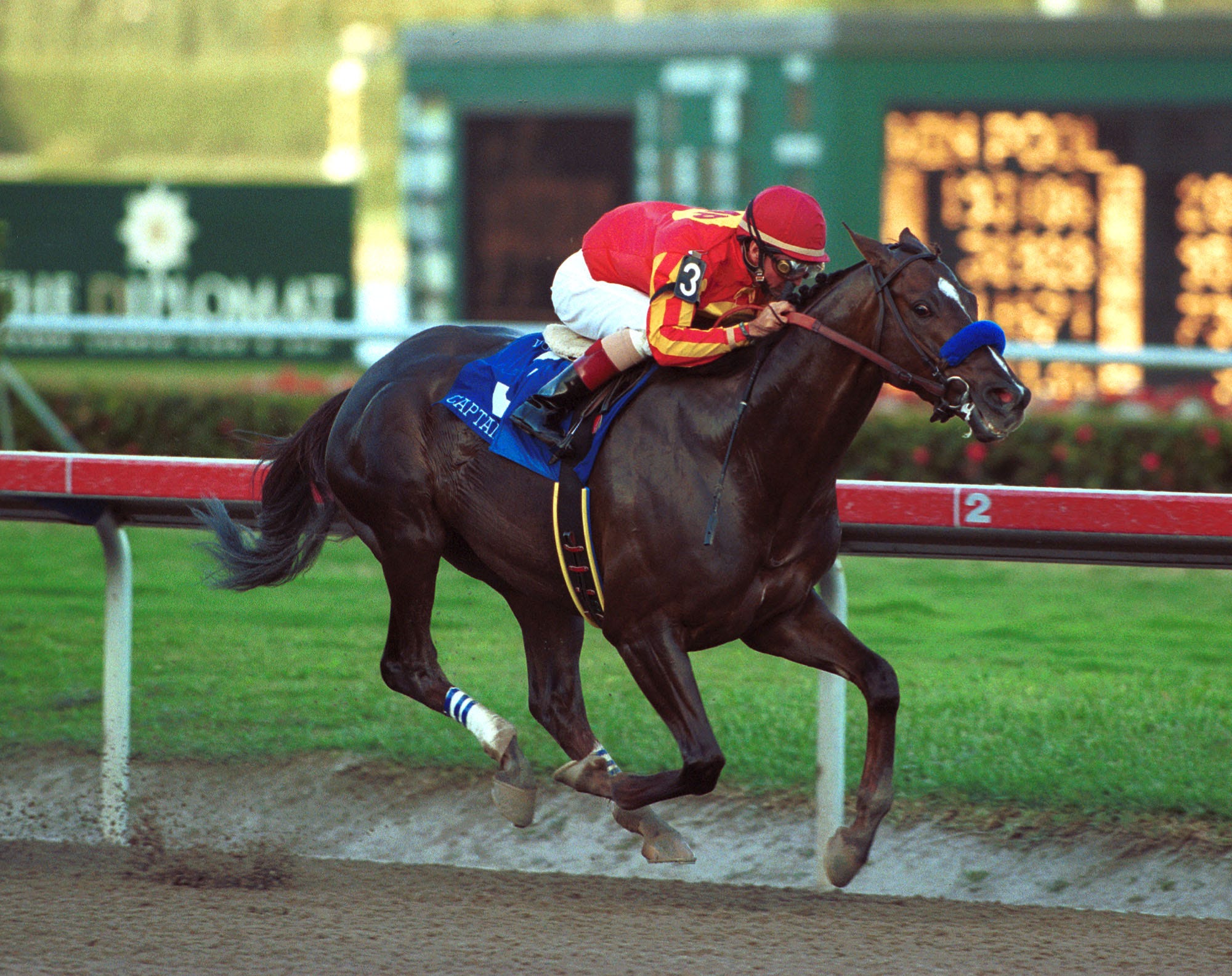 Captain Steve, Dubai World Cup winner, dead at 16