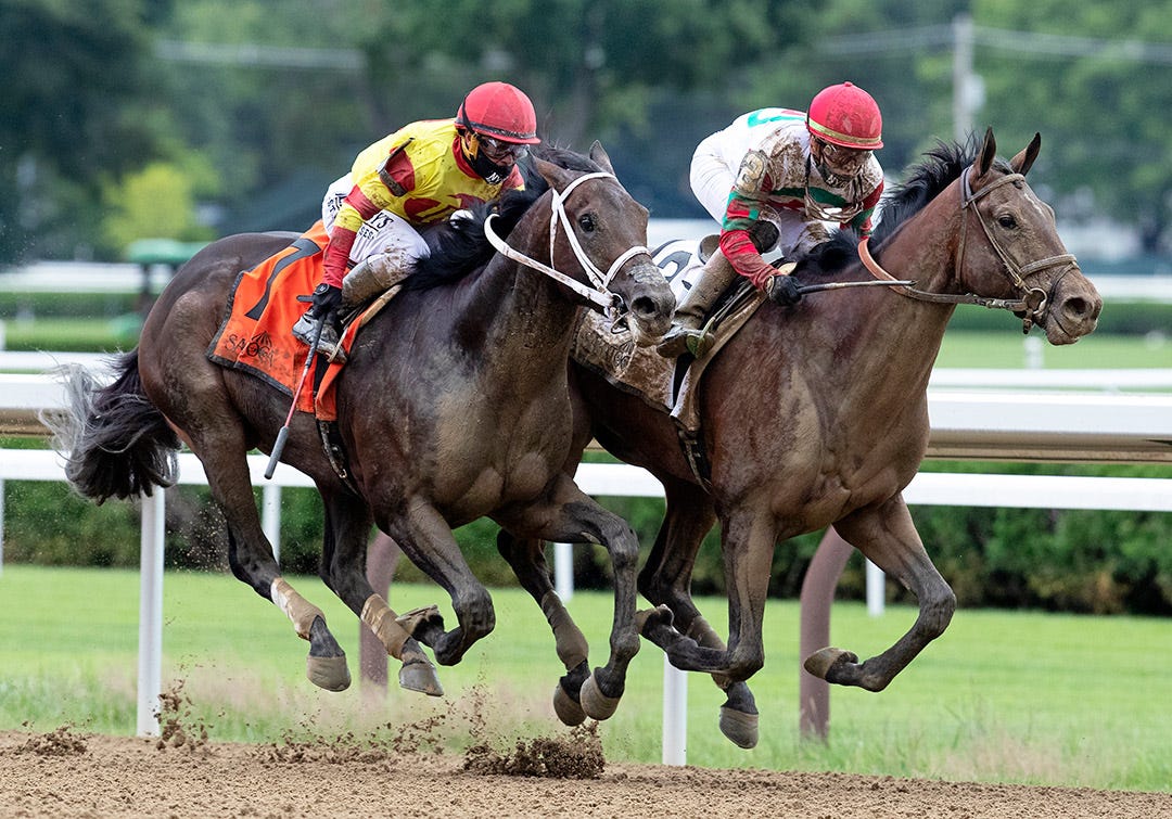 Caracaro a longshot sleeper in Travers, a race in which favorites have ...