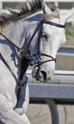 Careless Jewel turns it on in work