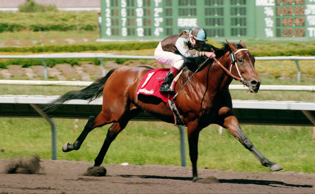 Remembering Casual Lies, Shelley Riley, and their Kentucky Derby run