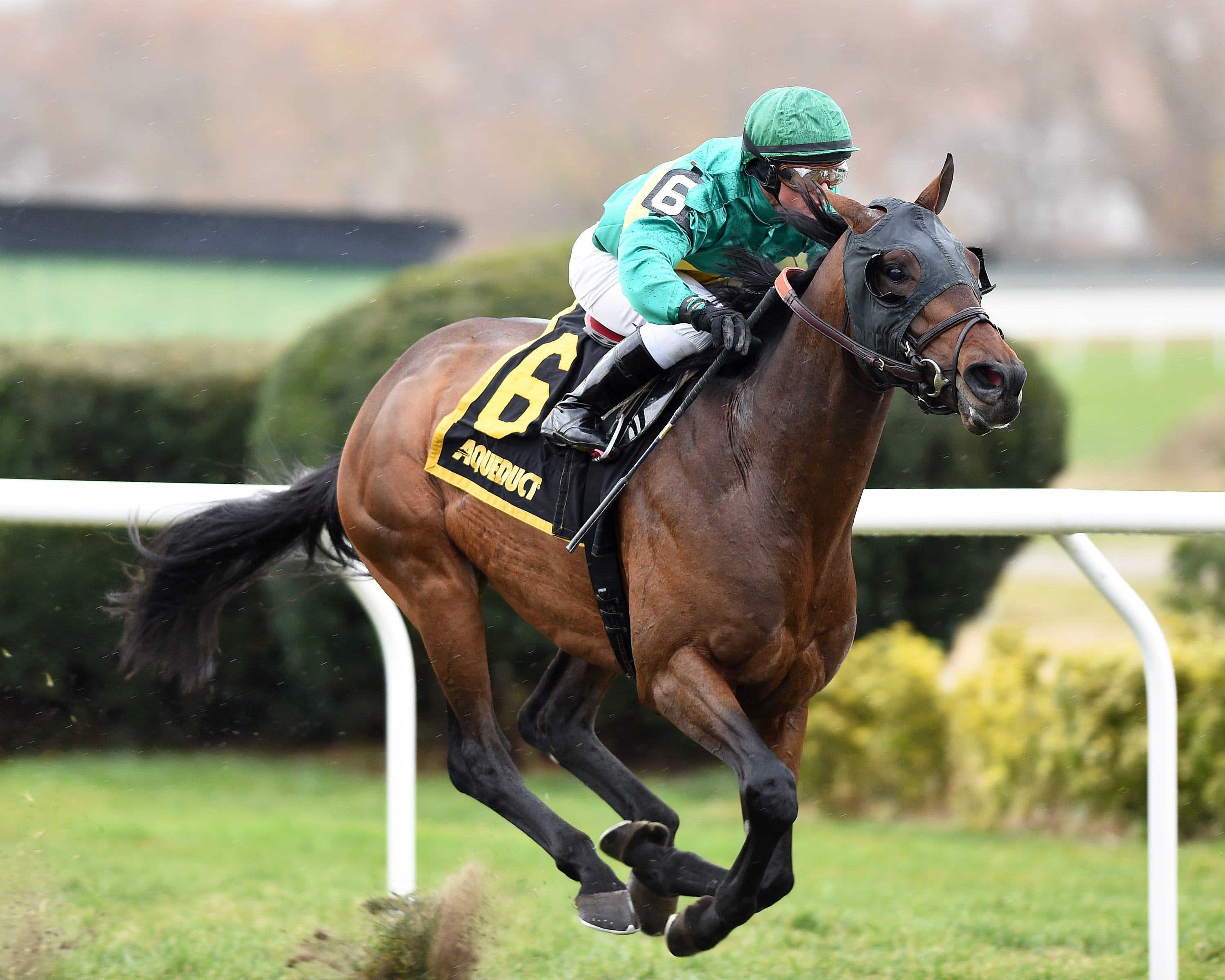 Catapult should show true talent in Danger's Hour