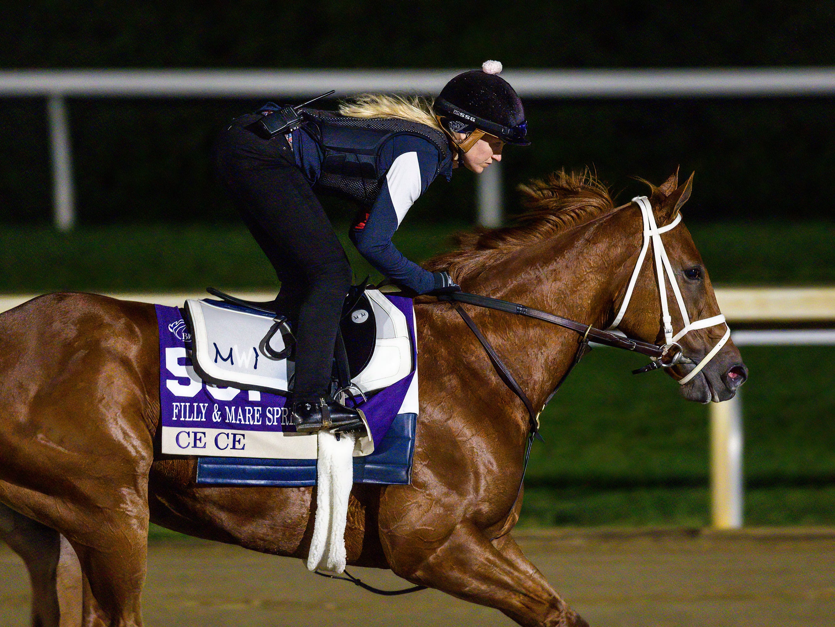 Breeders' Cup Filly and Mare Sprint: Ce Ce retraces hoofsteps in ...
