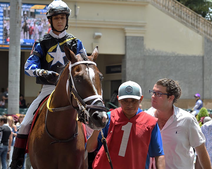 Chance It works five furlongs for two-turn debut in In Reality Stakes