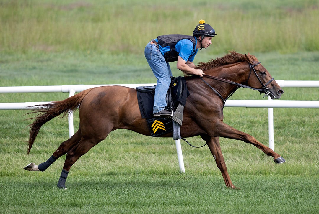 Channel Cat would be fitting winner of Calumet Turf Cup