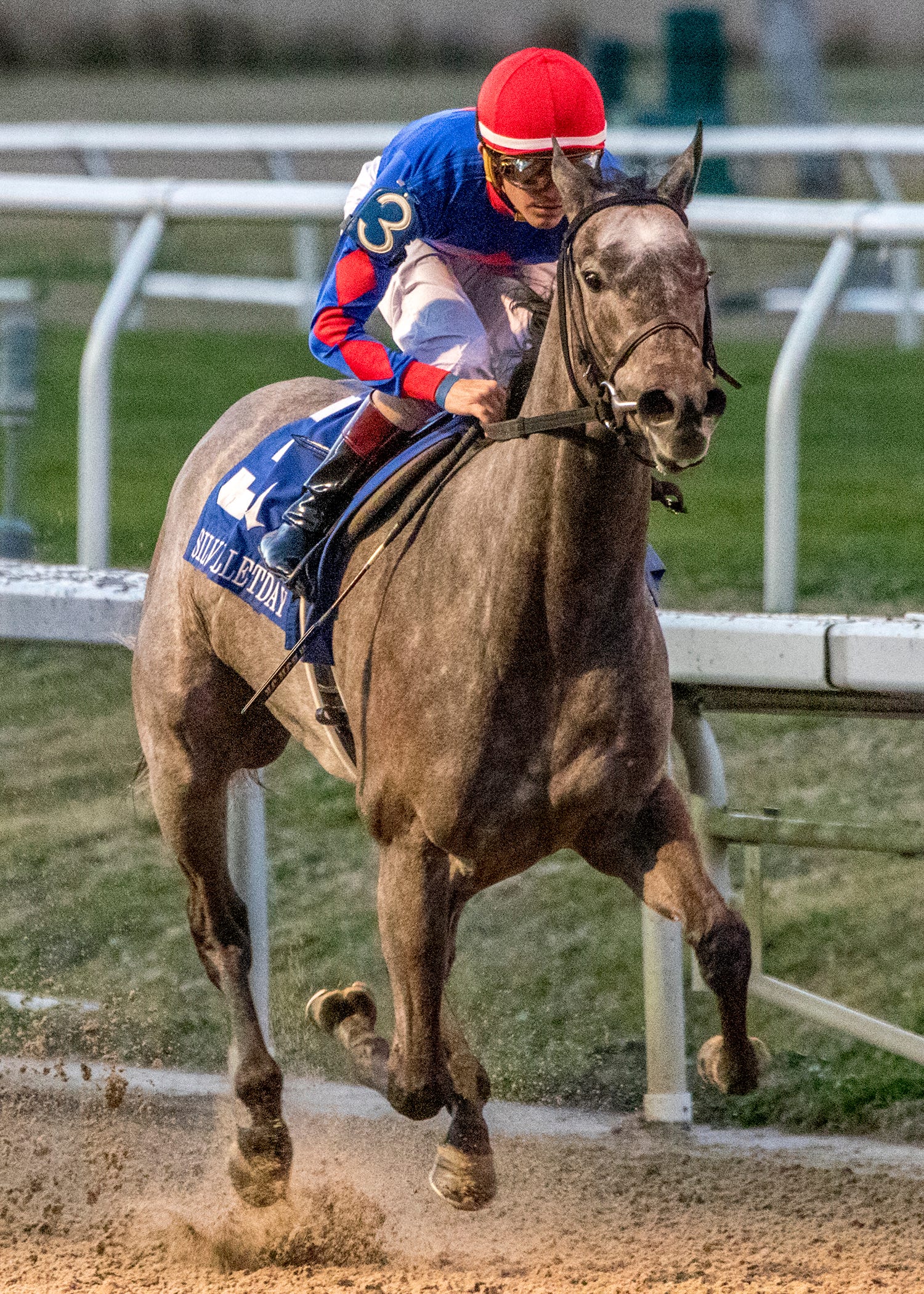 Charlie's Penny out of Rachel Alexandra Stakes with fracture