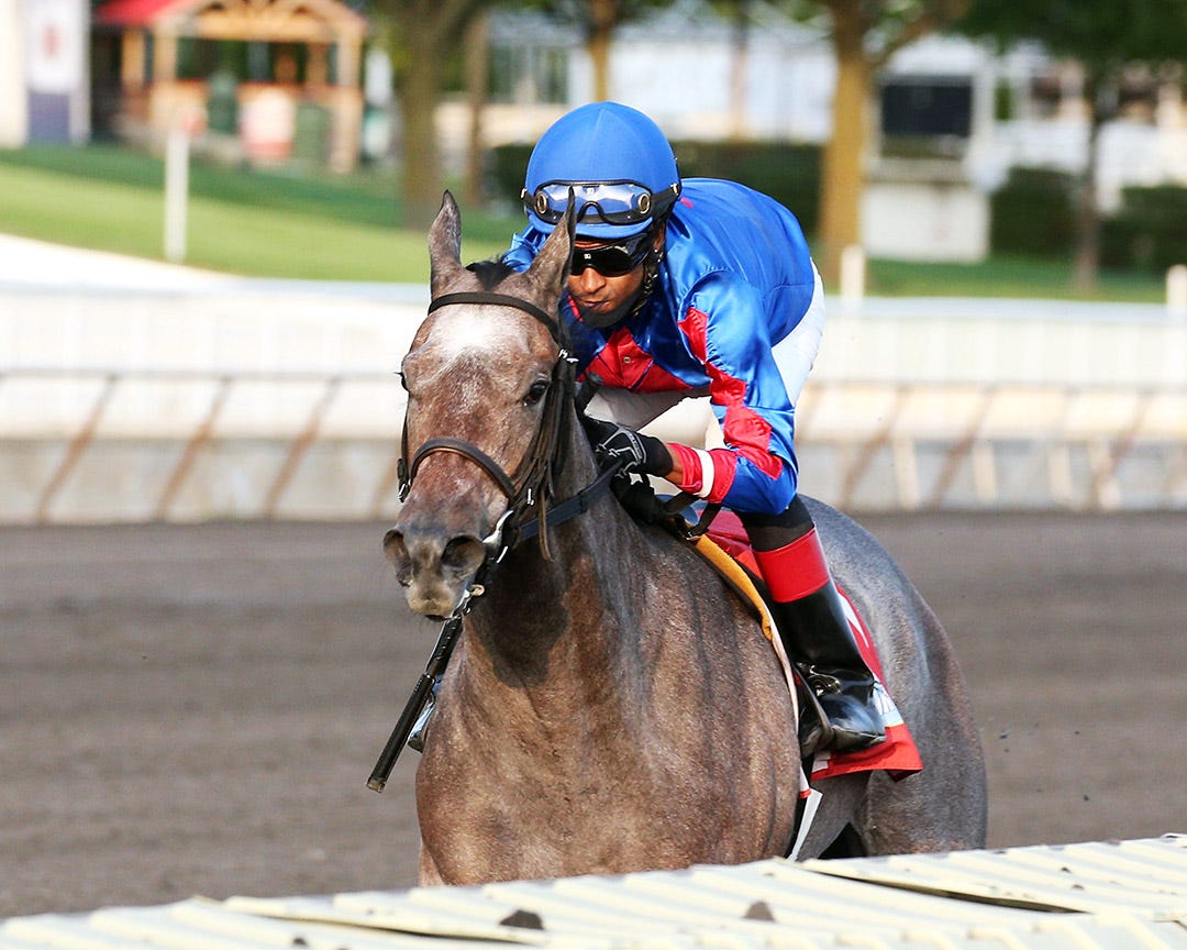 Charlie's Penny impressive in debut win