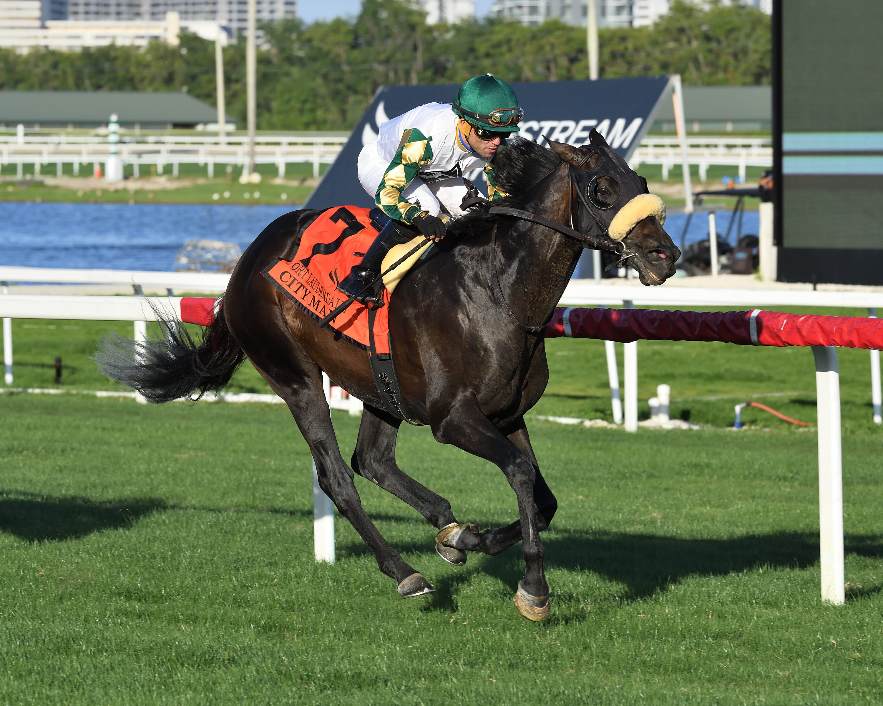 City Man looks to prove he's the top New York-bred turf horse