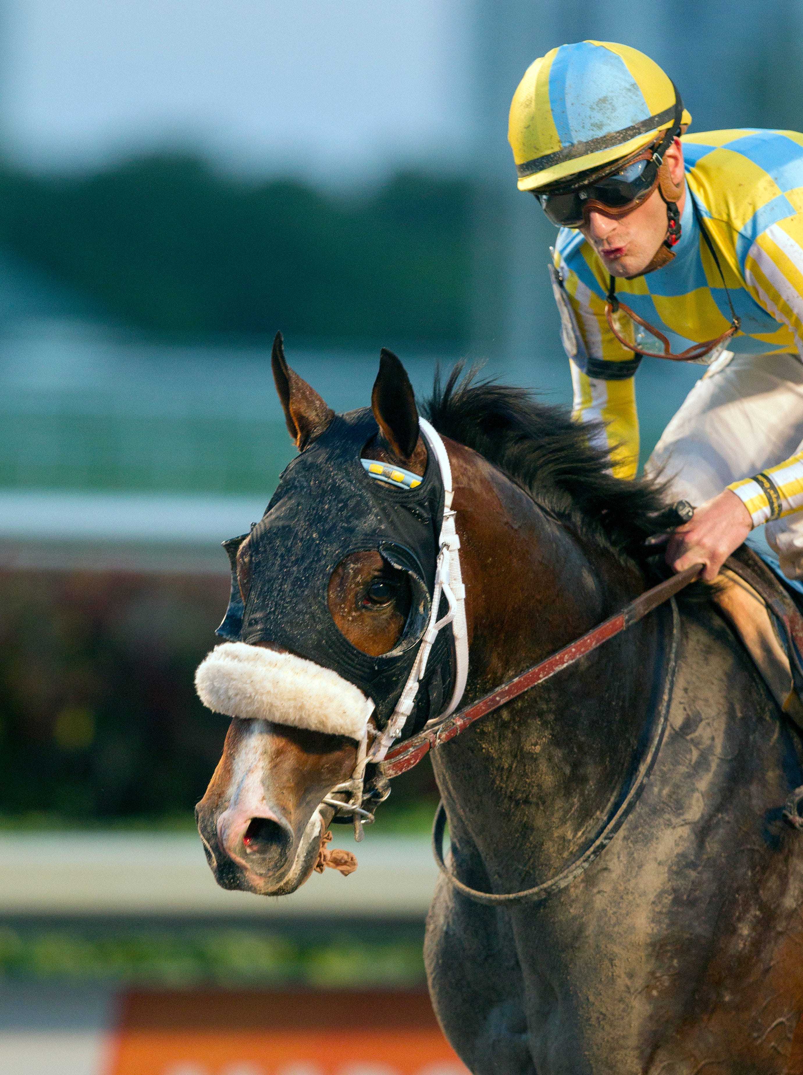 Classic Empire will skip Fountain of Youth