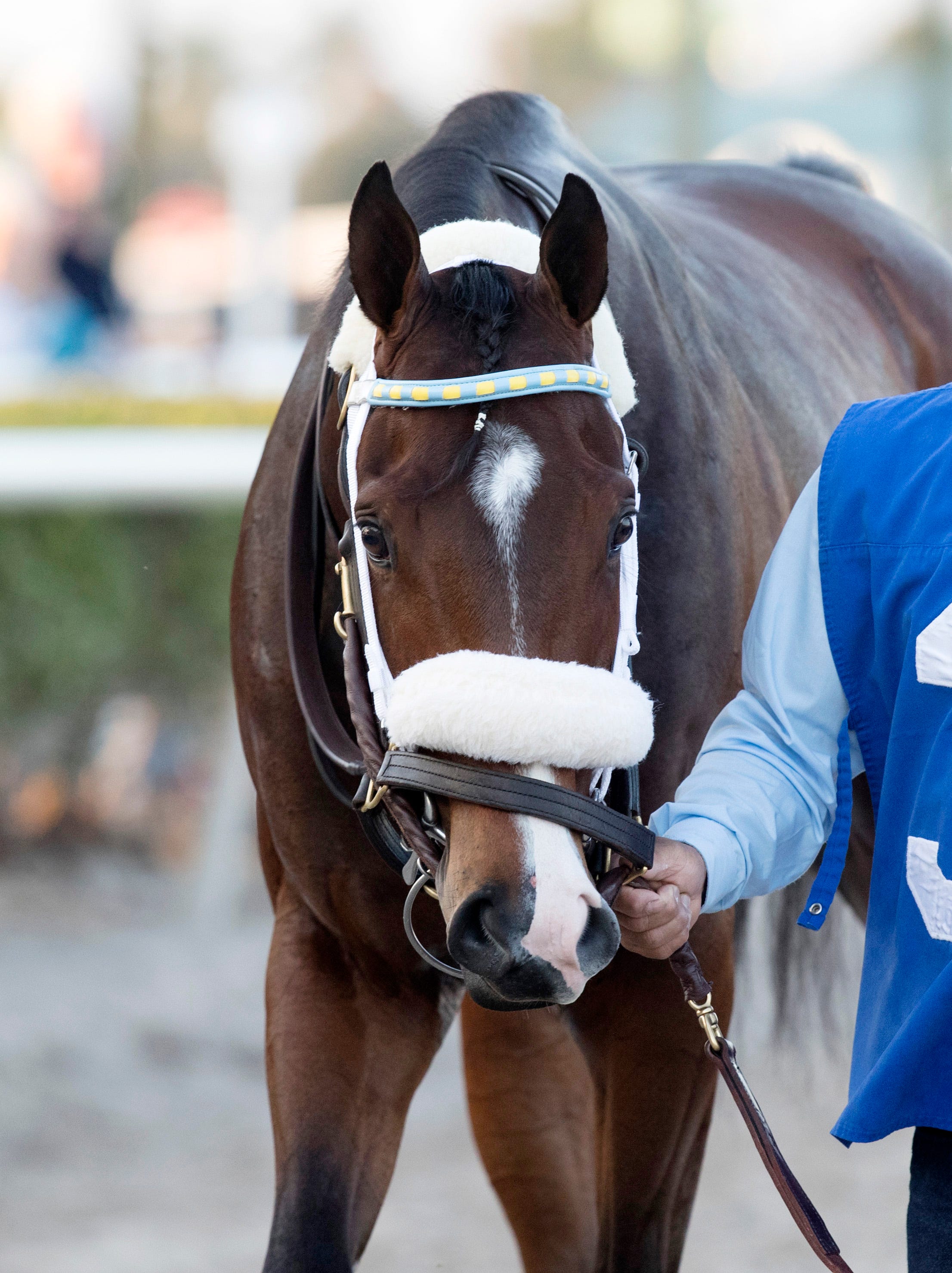 Classic Empire looks like old self in Arkansas Derby work