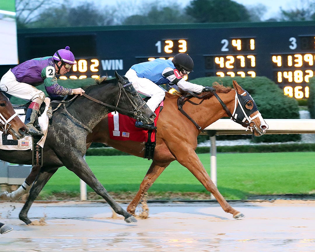 Classy Beast back on turf with pace to chase