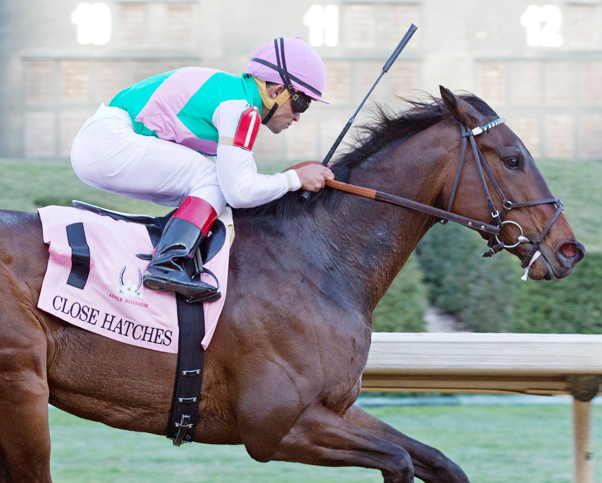 Close Hatches taking it easy