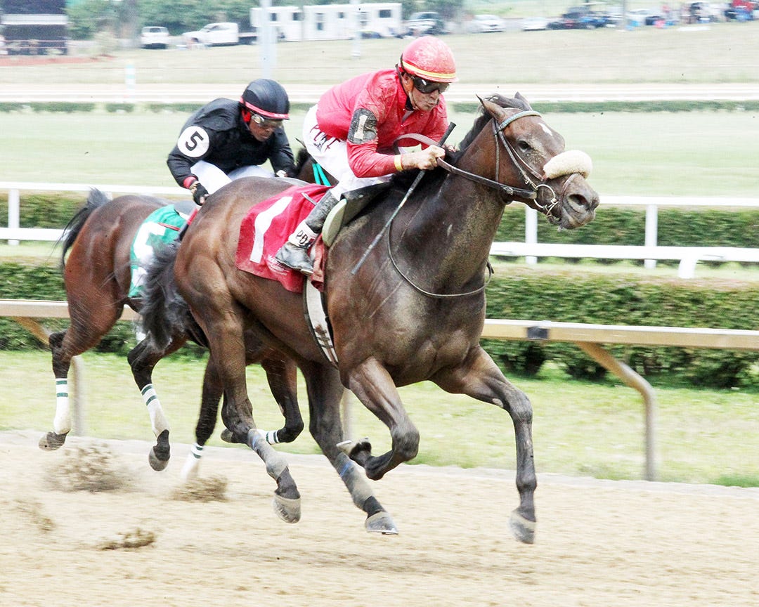 Following cancellation, Colebrook weighing options with Club Car