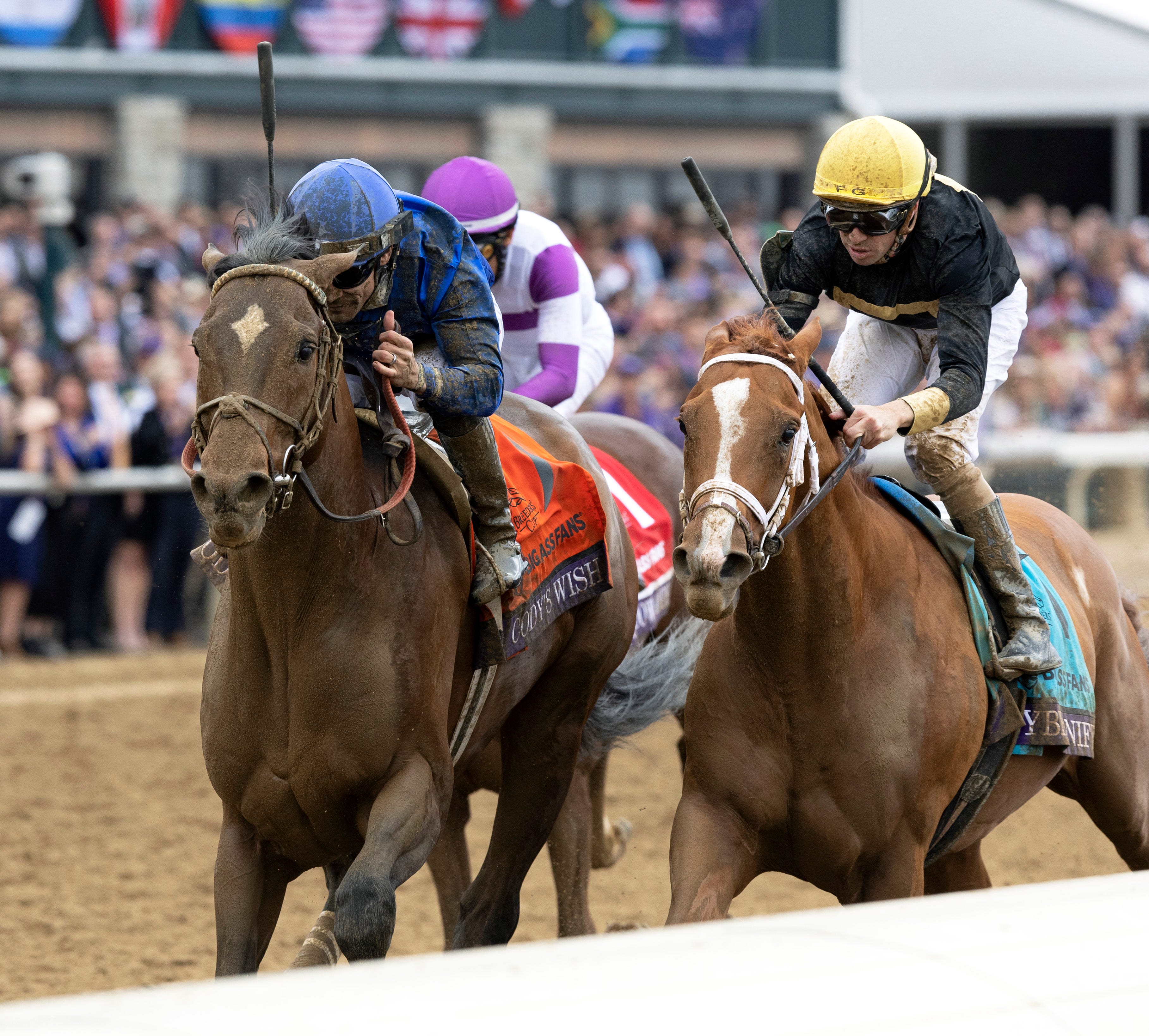 Breeders' Cup Dirt Mile: Cody's Wish will race next year at age 5