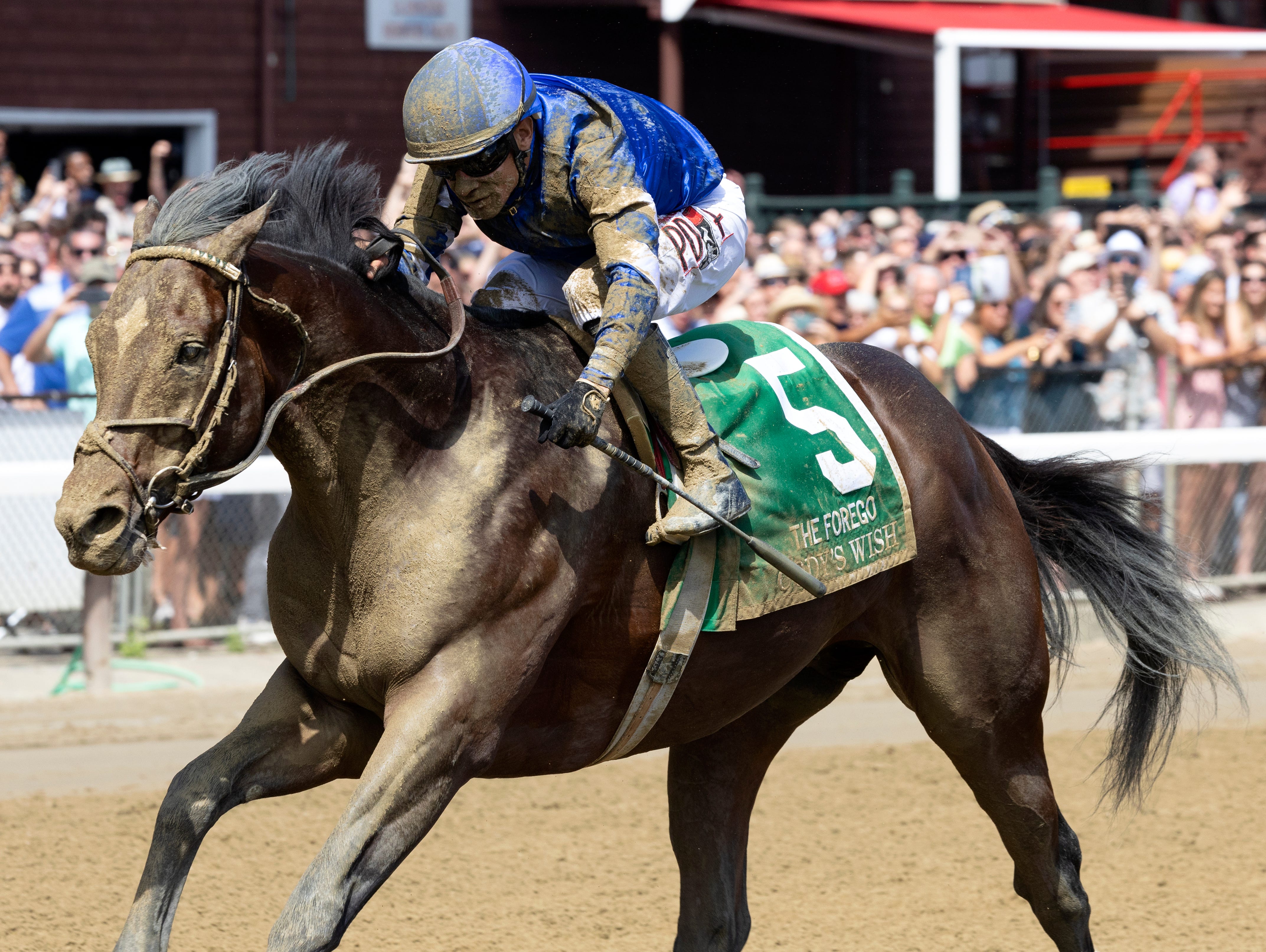 Cody’s Wish sorprendió a Jackie's Warrior en el Forego Stakes G1