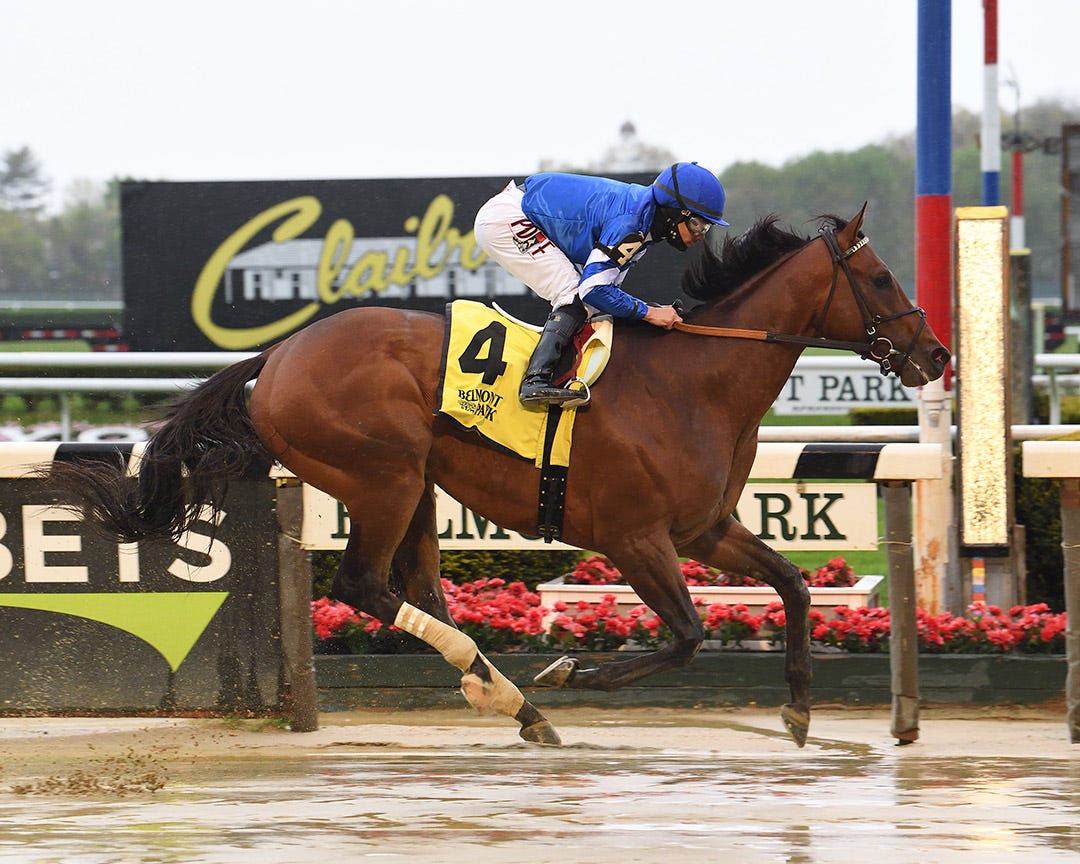 Cody's Wish stalks and pounces his way to victory in Westchester