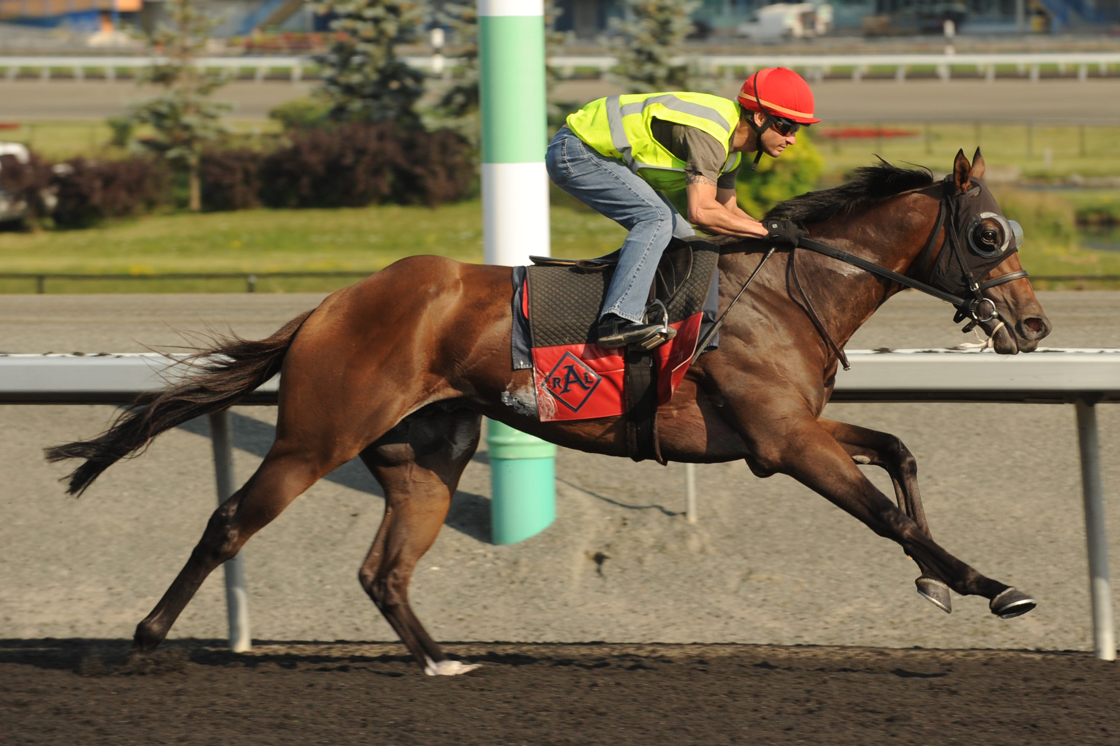 Colleen's Sailor has course and class edge