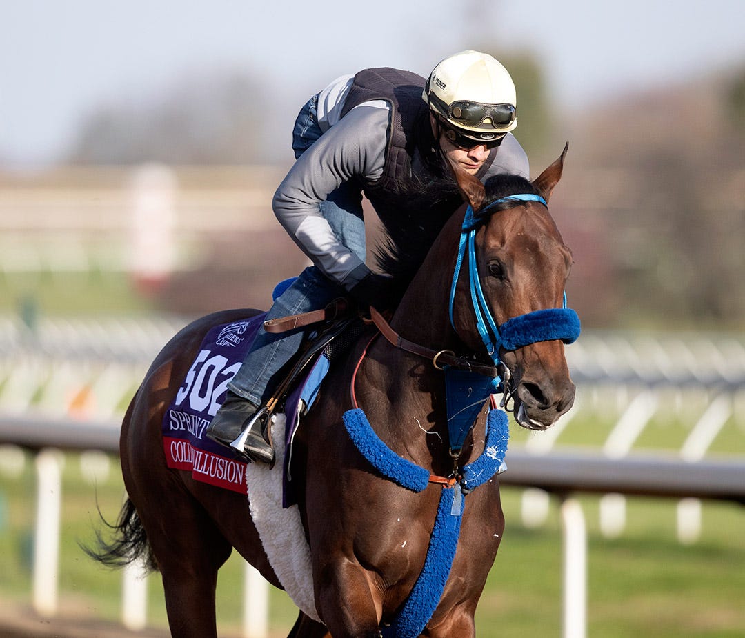 Collusion Illusion being pointed for Palos Verdes Stakes; C Z Rocket ...