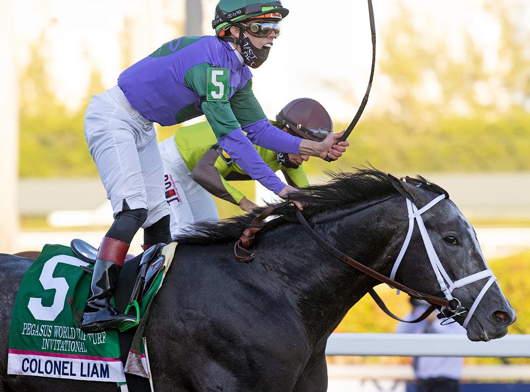 Colonel Liam jumps right back into spotlight in Pegasus Turf