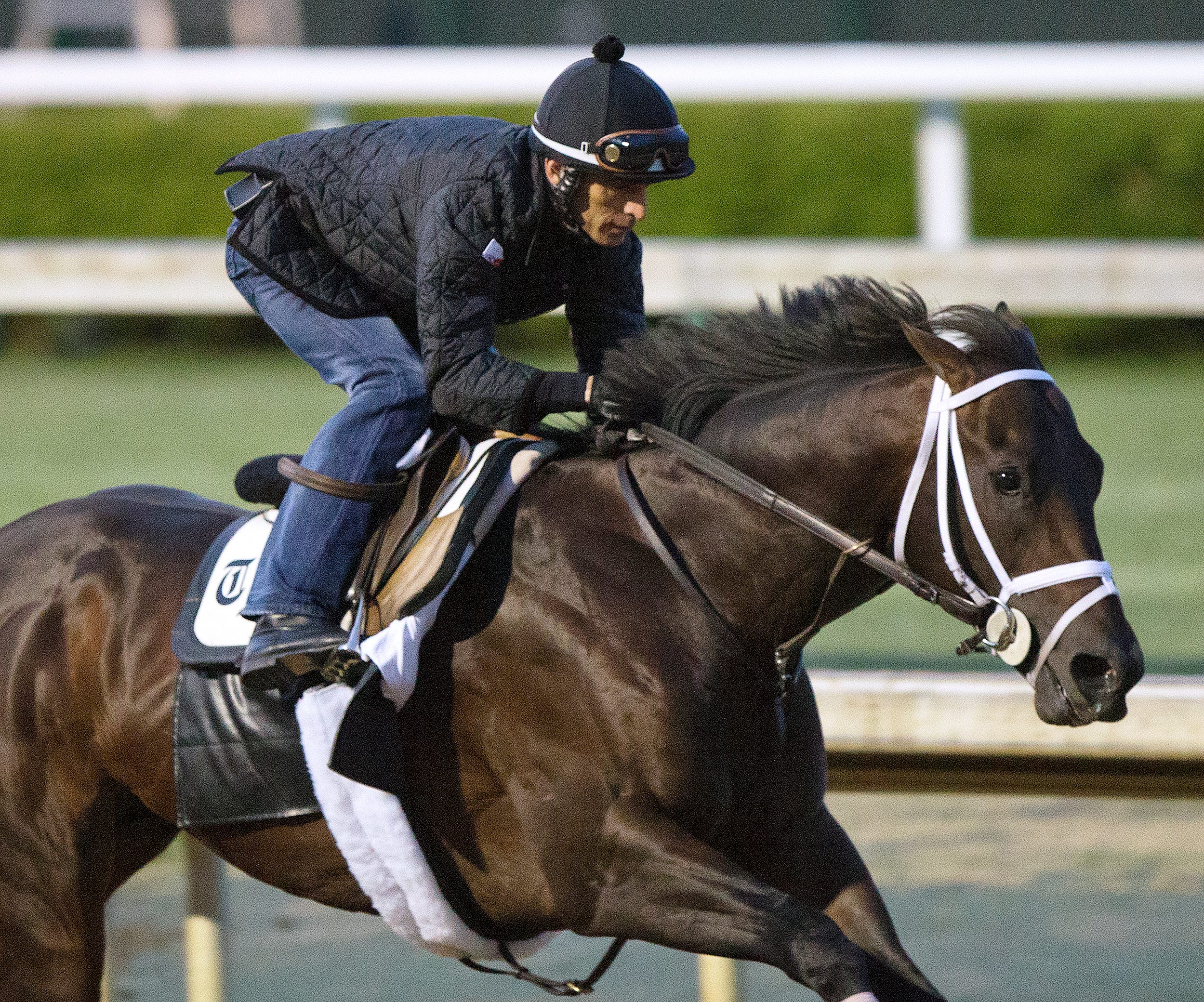 Competitive Edge, Peace and War meet in intriguing Pat Day Mile lineup