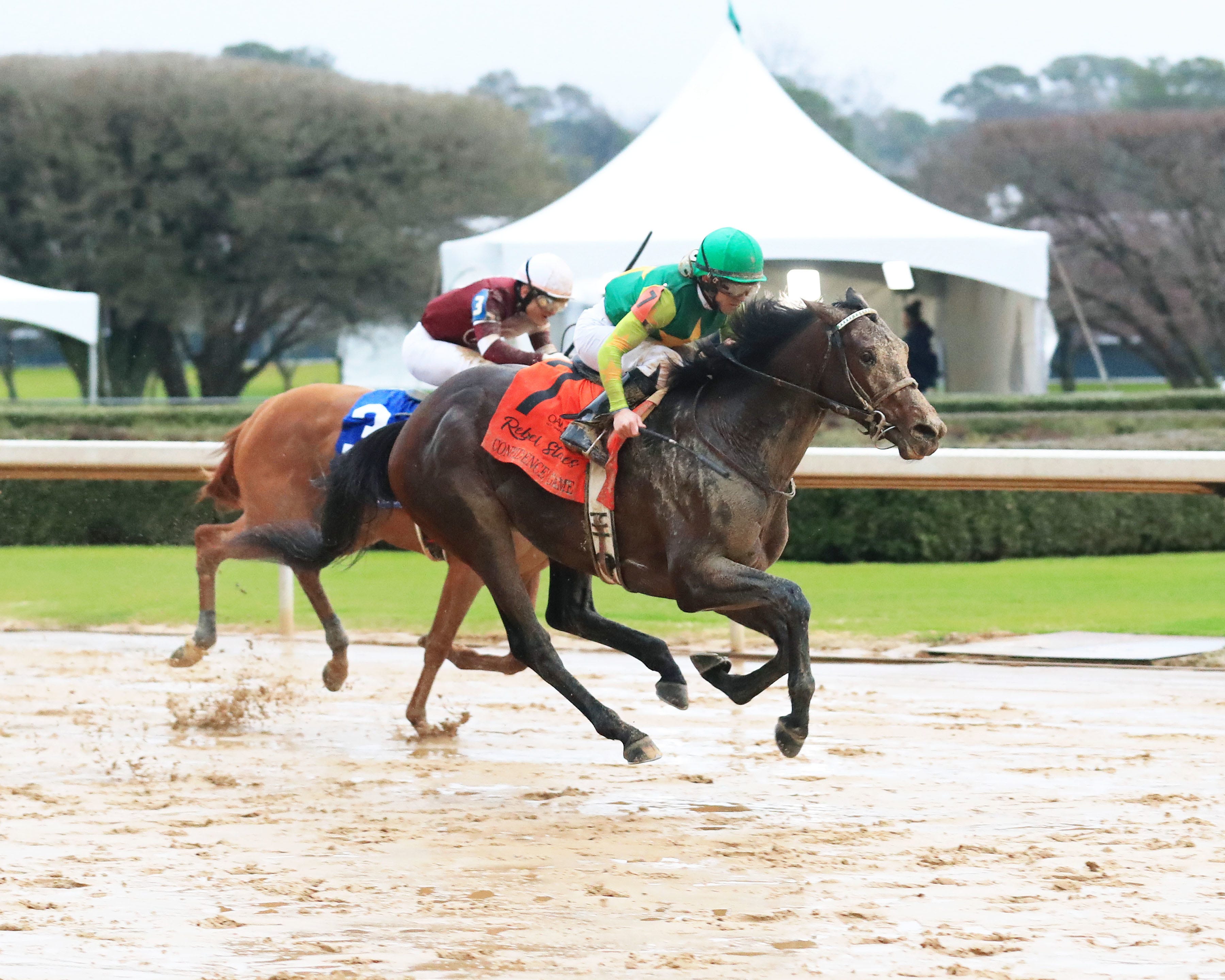 Confidence Game gives Summer Wind Farm another graded winner