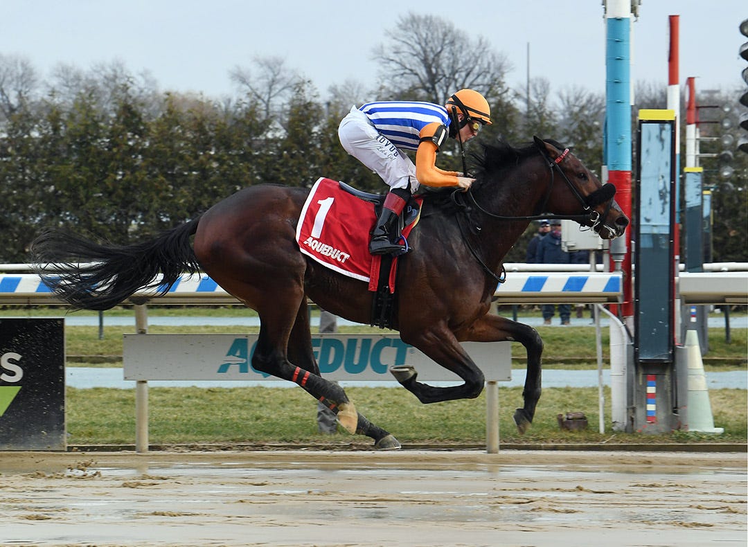 Scratched from Parx stakes, New York horses look headed to Turfway