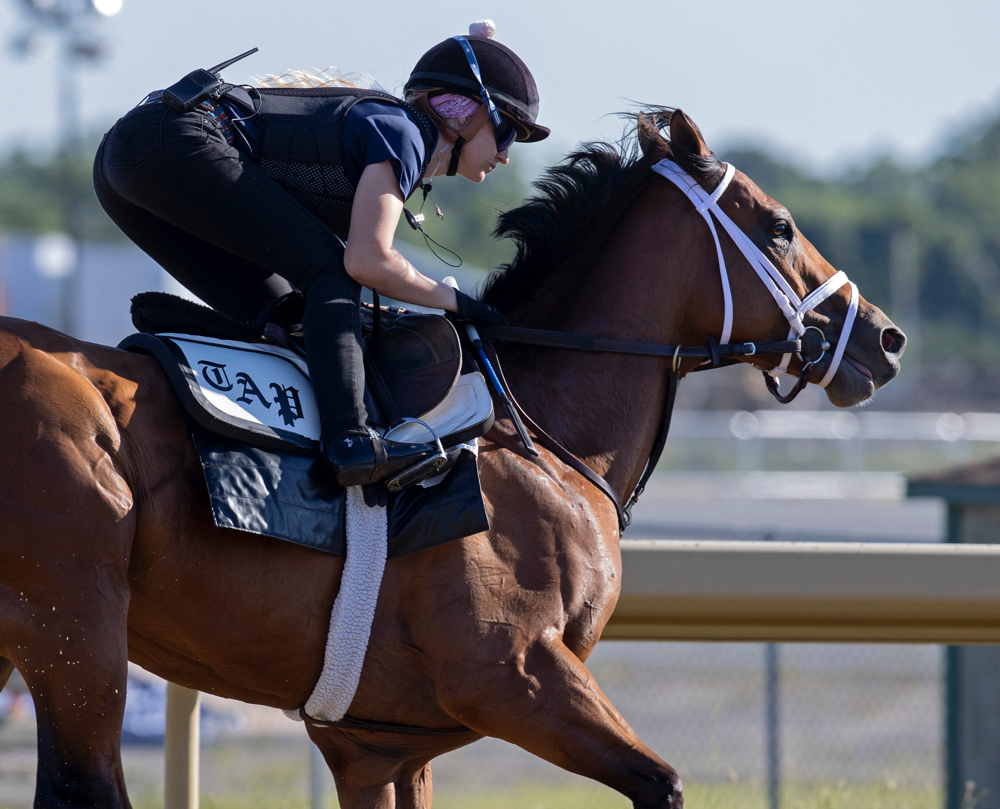 Corniche has first Belmont work for Pletcher, being pointed to ...