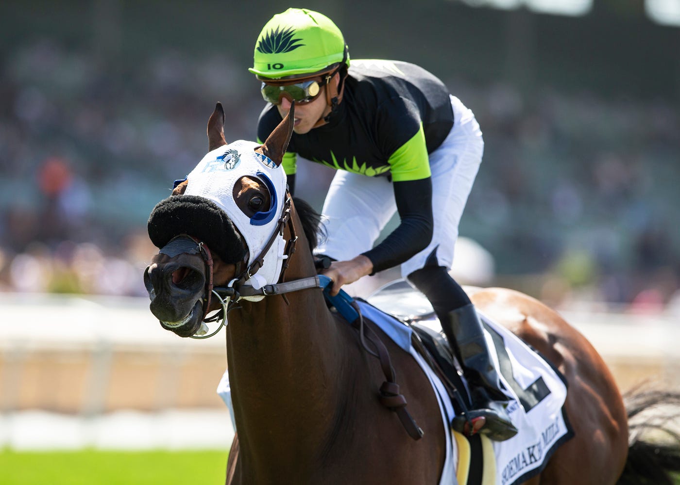 Count Again reels in and blows by Smooth Like Strait to win Shoemaker Mile