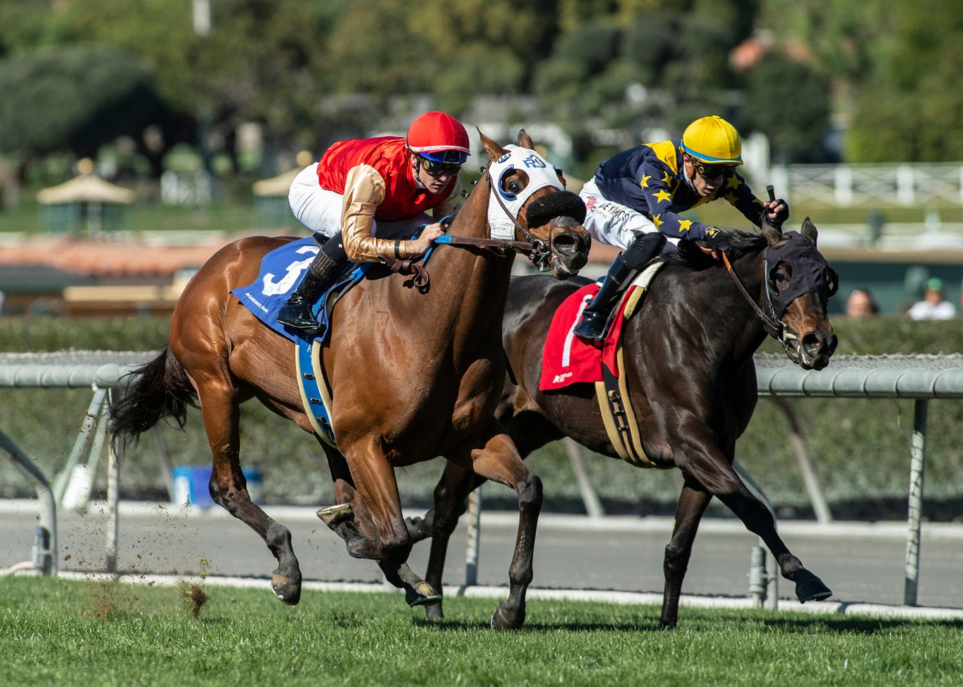 Count Again vs. Subconscious rematch possible in Kilroe Mile