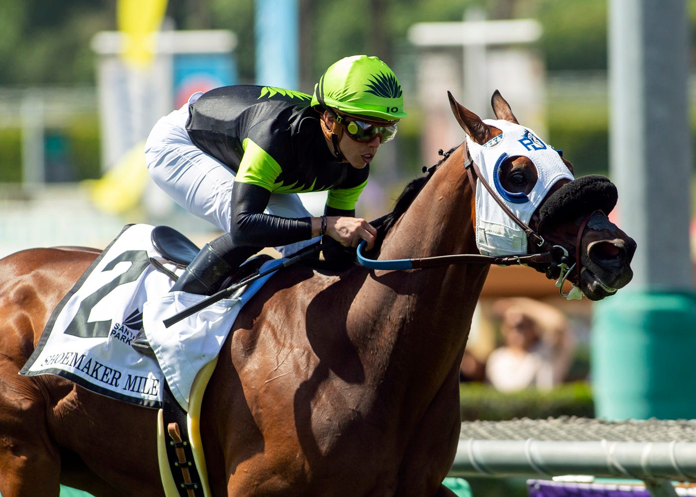 Count Again sidelined for rest of year
