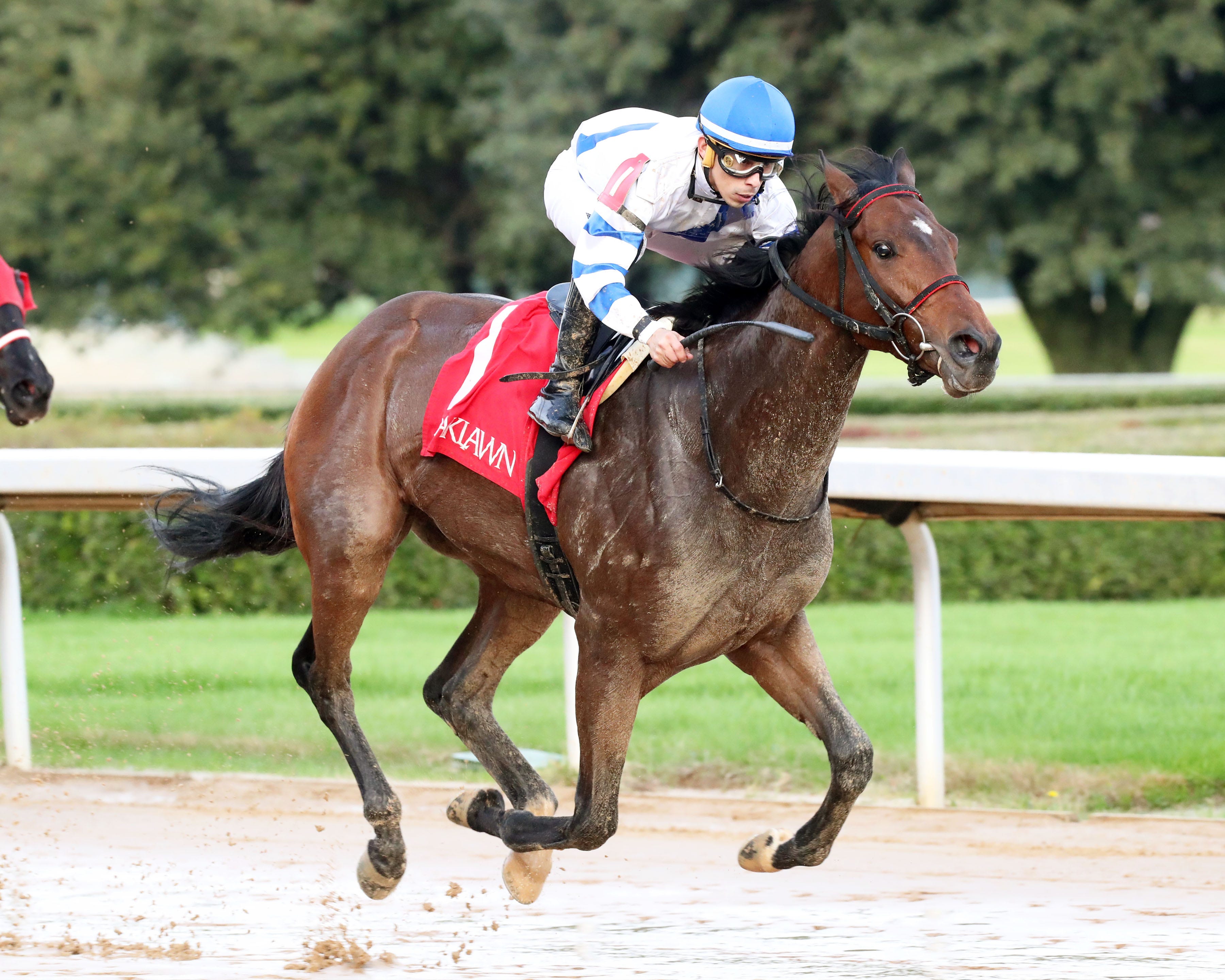 Count de Monet's connections mull sprint vs. longer for next start