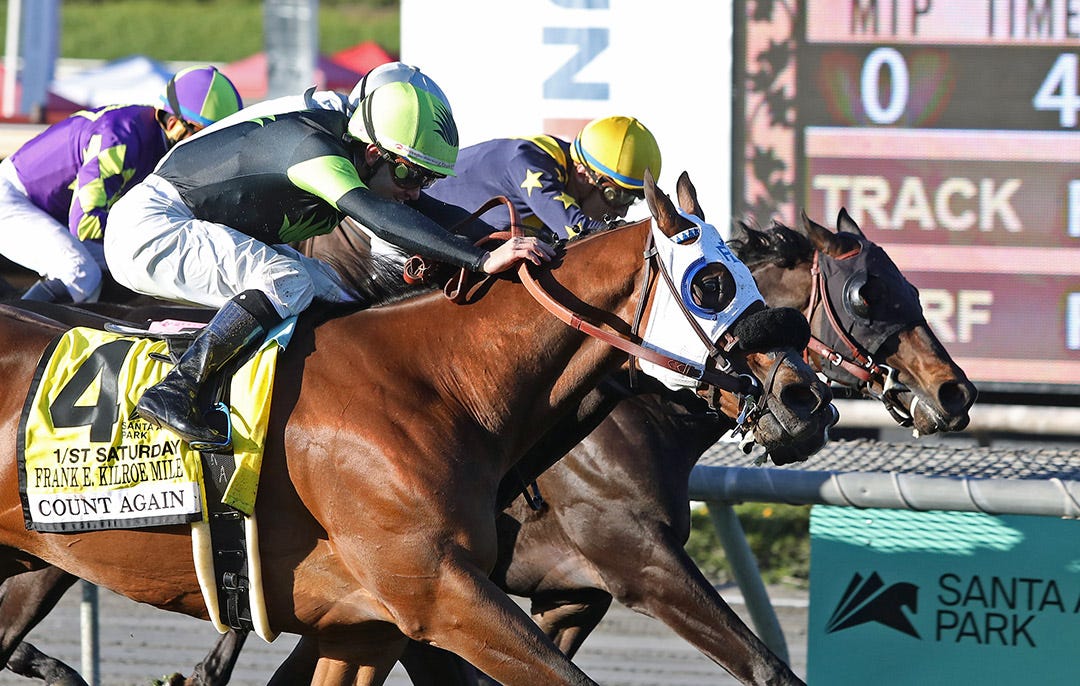 Count Again rejuvenated since being freshened