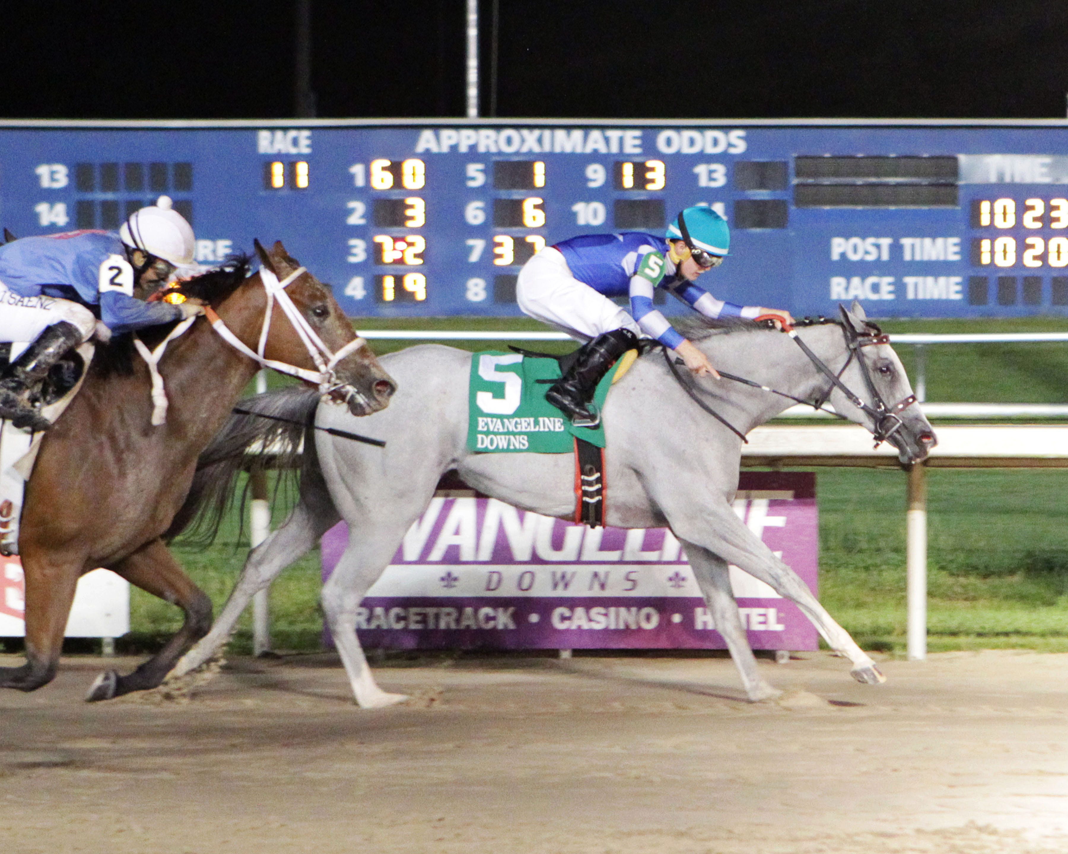 Country Candy stands out in Darby's Daughter