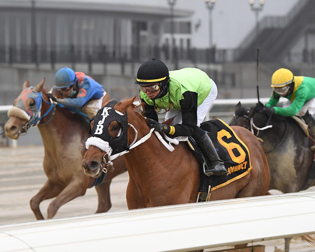 DRF's Horse Racing Playbook for Sunday, February 20, 2022