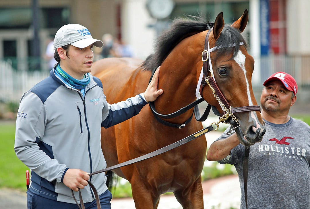 Blake Cox eager to follow in father's footsteps and open stable at an ...