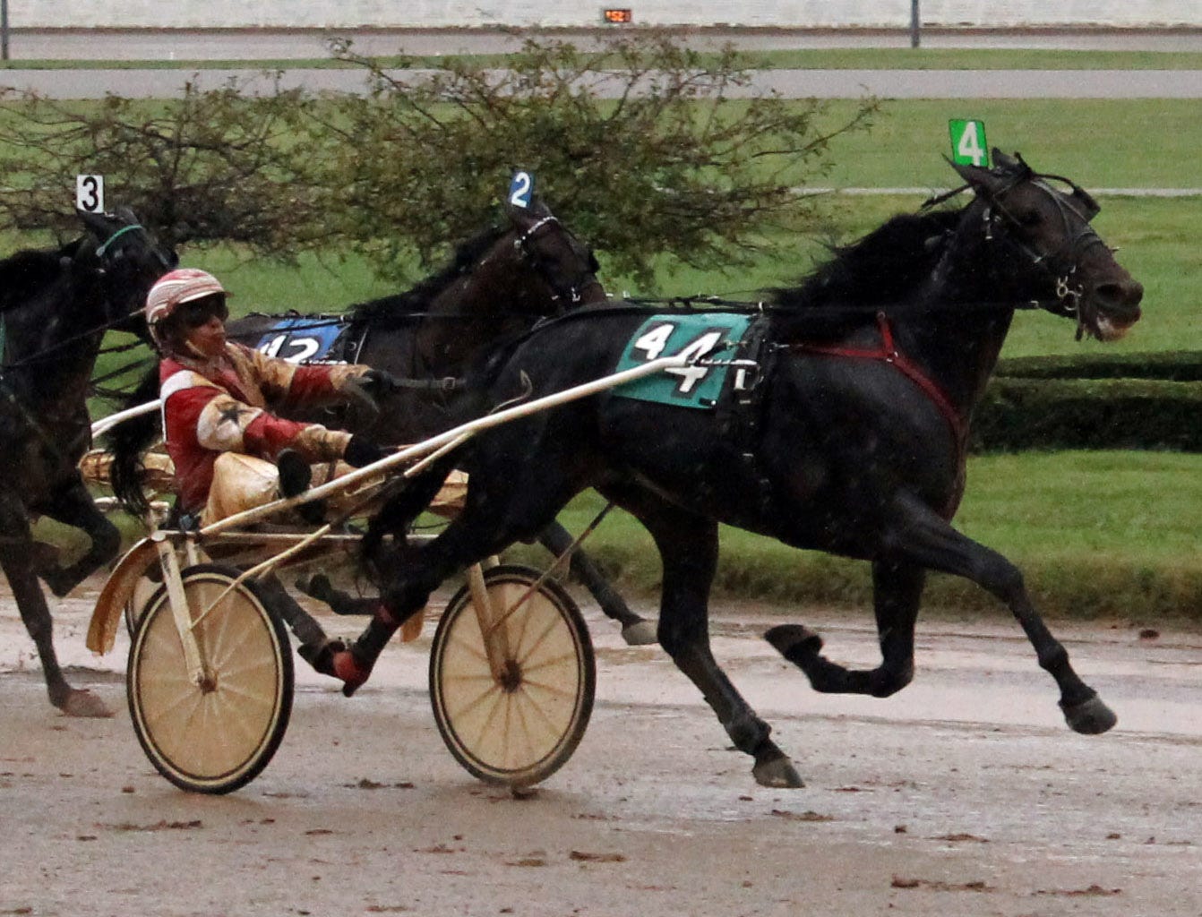 Harness: Creatine retired from stallion duty